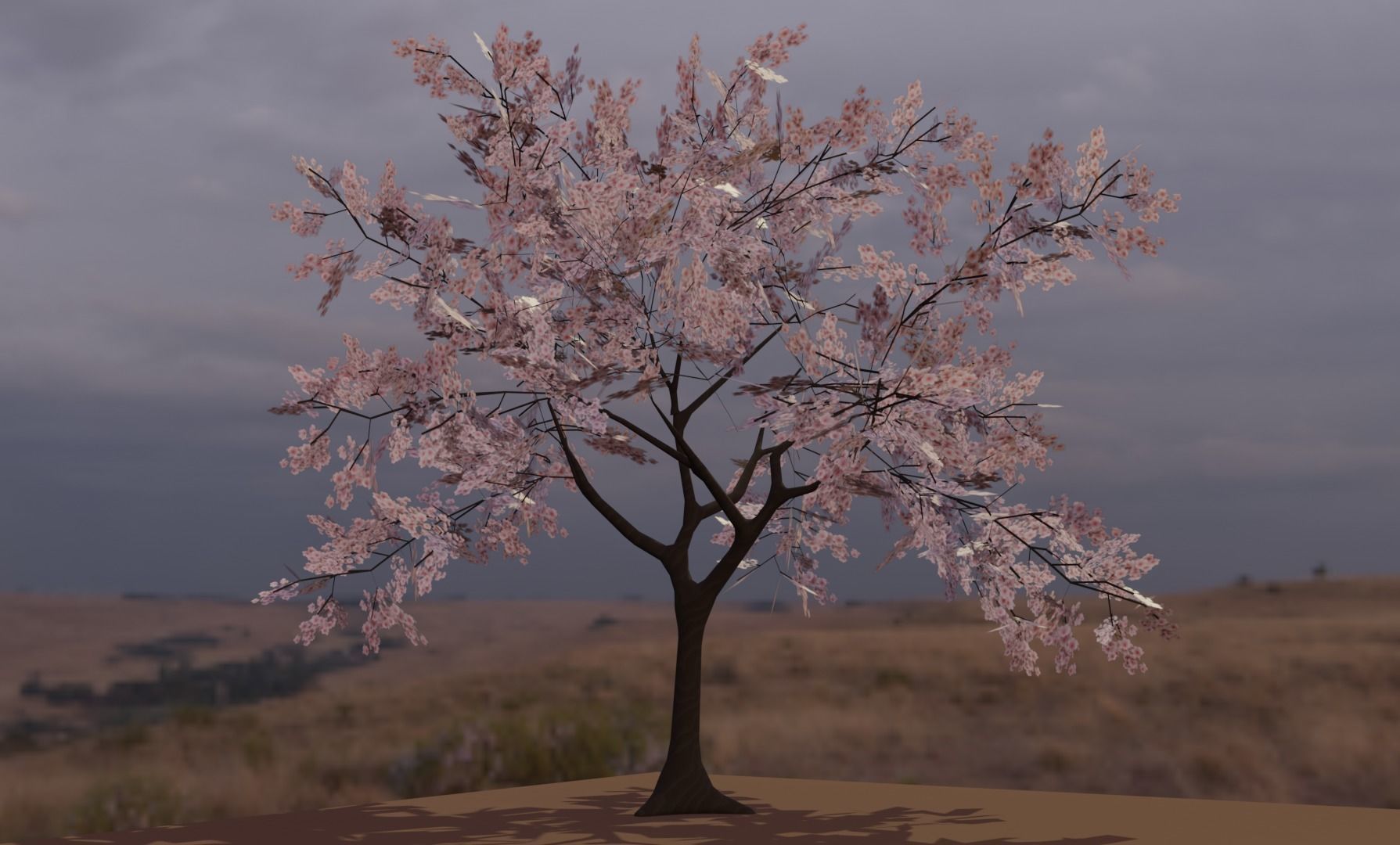 sakura tree free VR / AR / low-poly 3D model | CGTrader