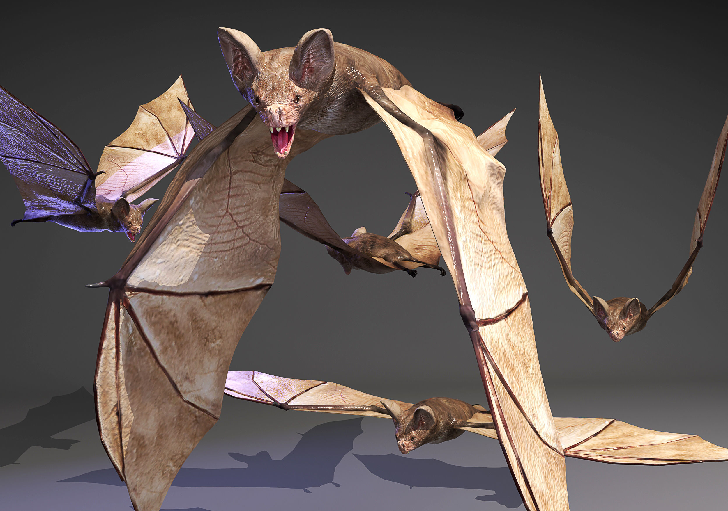 3D model batbatbatbat flying bats VR / AR / low-poly | CGTrader