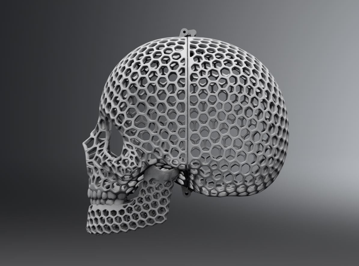Skull Mesh 3D model 3D printable | CGTrader