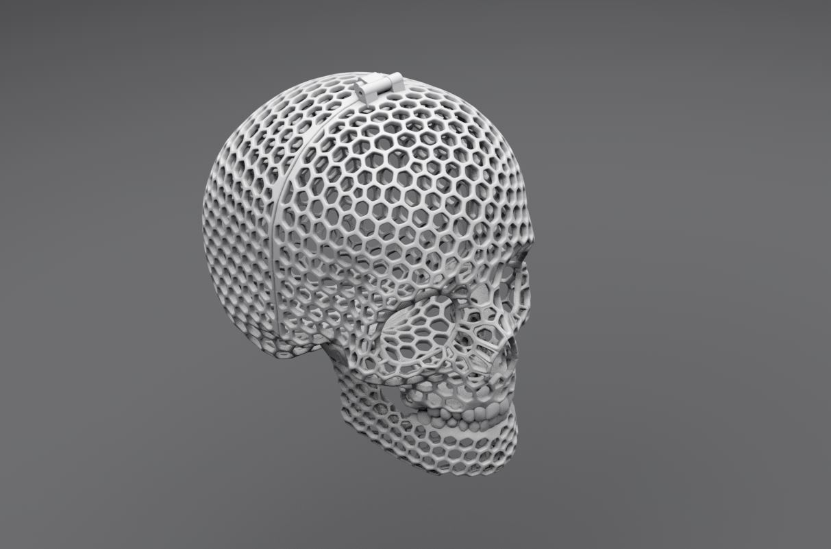 Skull Mesh 3D model 3D printable | CGTrader