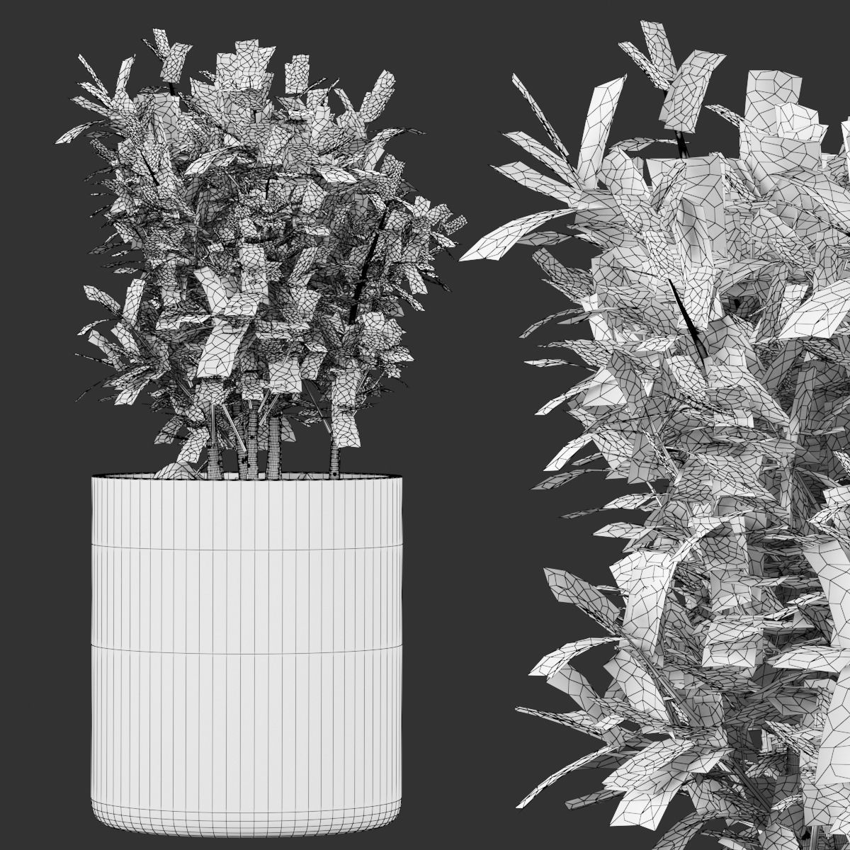 Plant-Set-003 olive tree in vase free 3D model | CGTrader