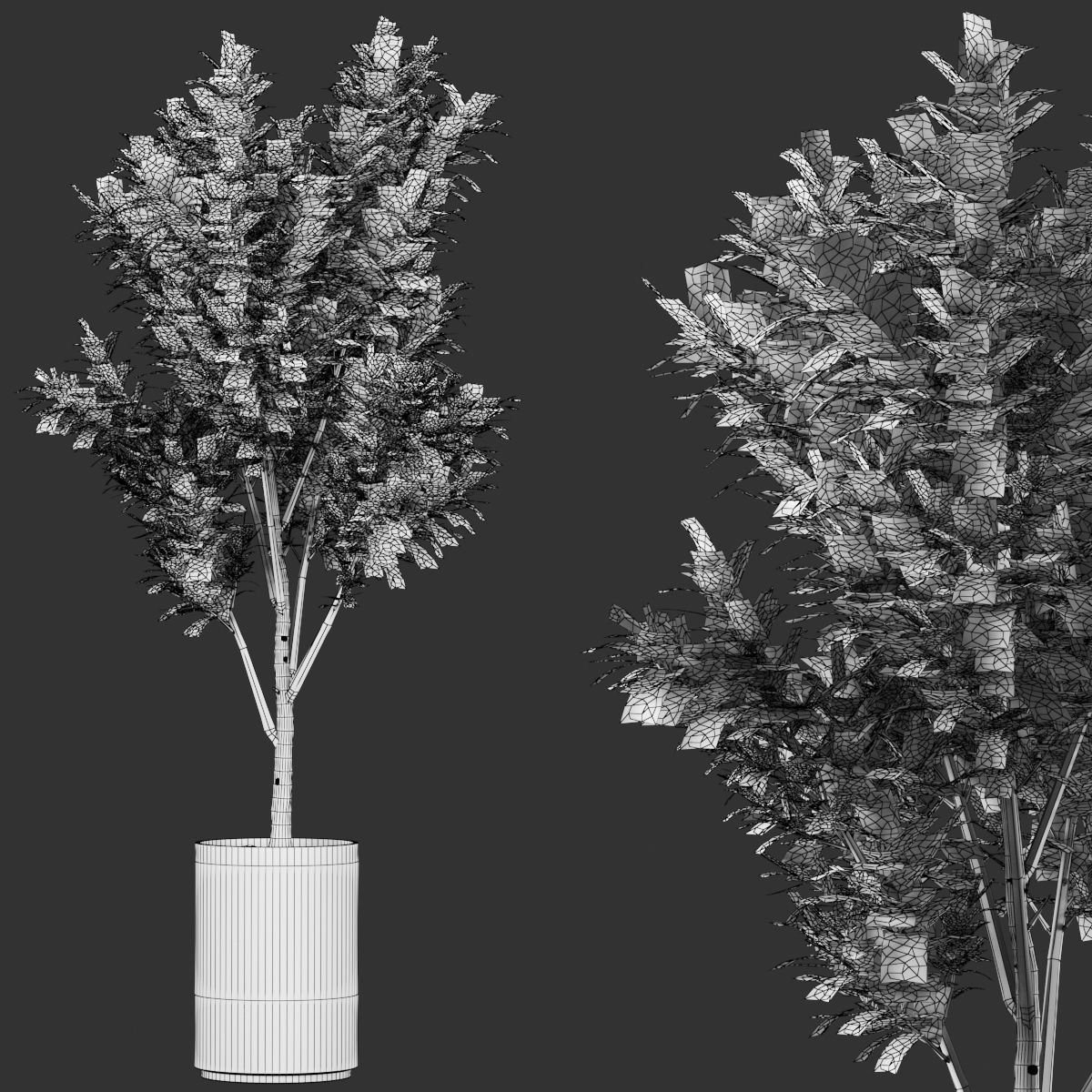 Plant-Set-003 olive tree in vase free 3D model | CGTrader