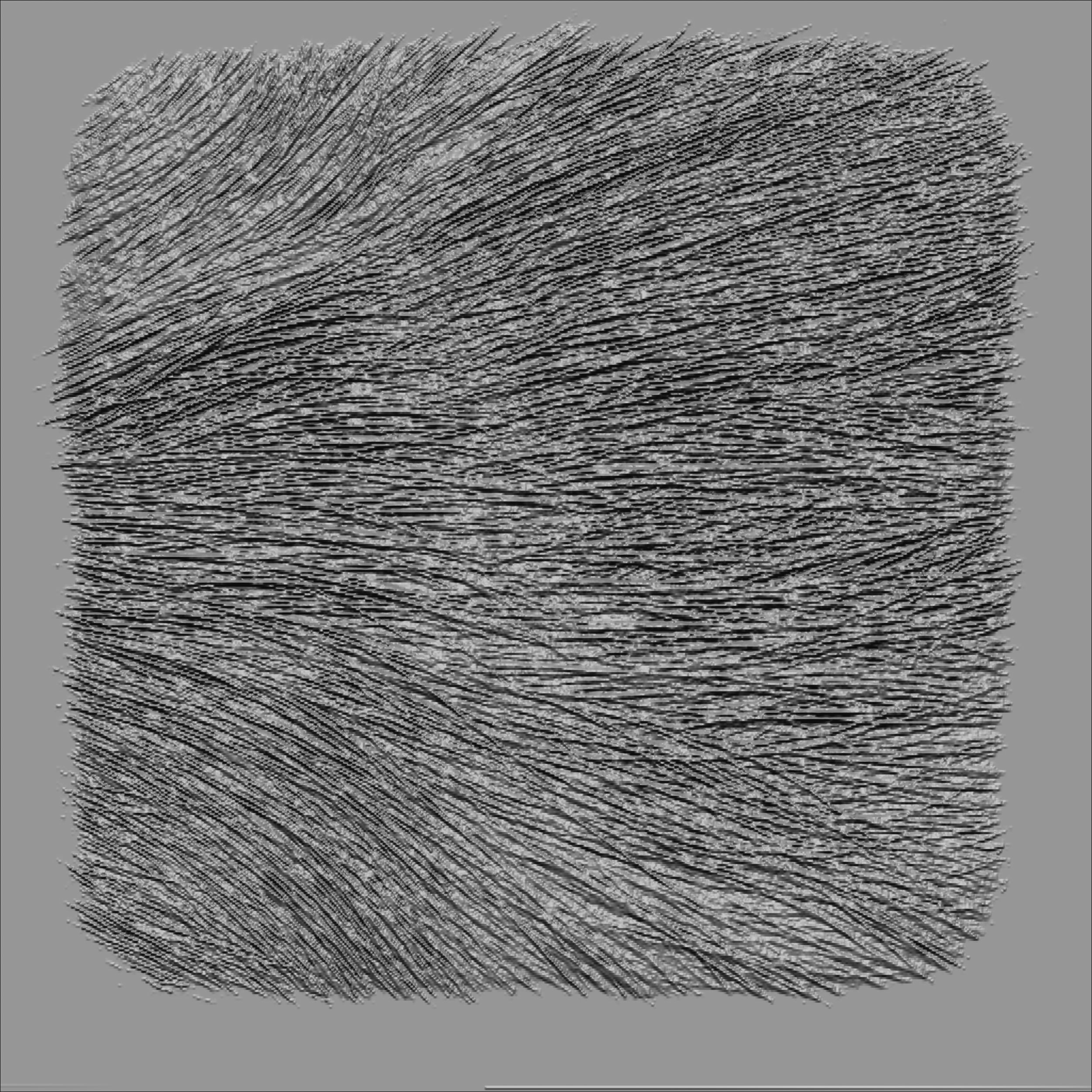 3D model 32 Hair and Fur Alphas Textures Vol 01 VR / AR / low-poly ...