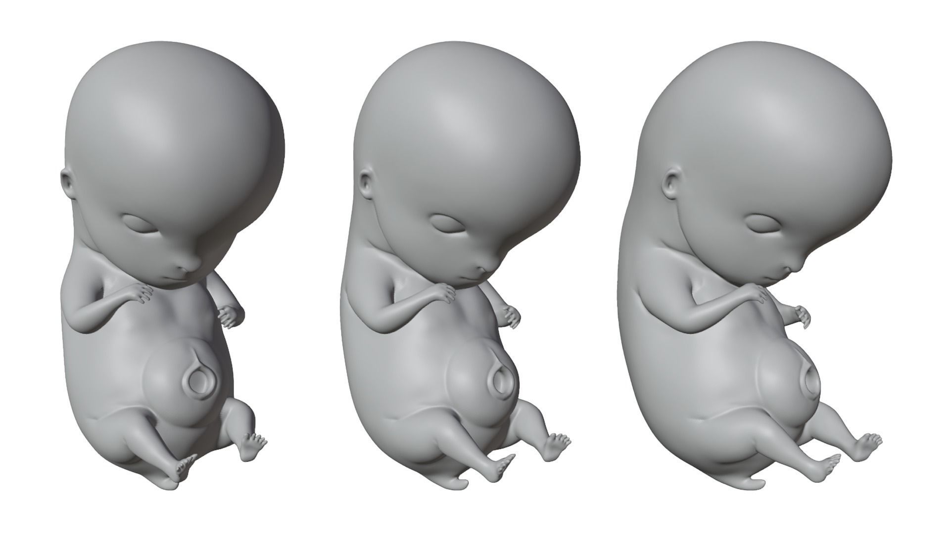 6 Weeks Human embryonic baby stages 3D model | CGTrader