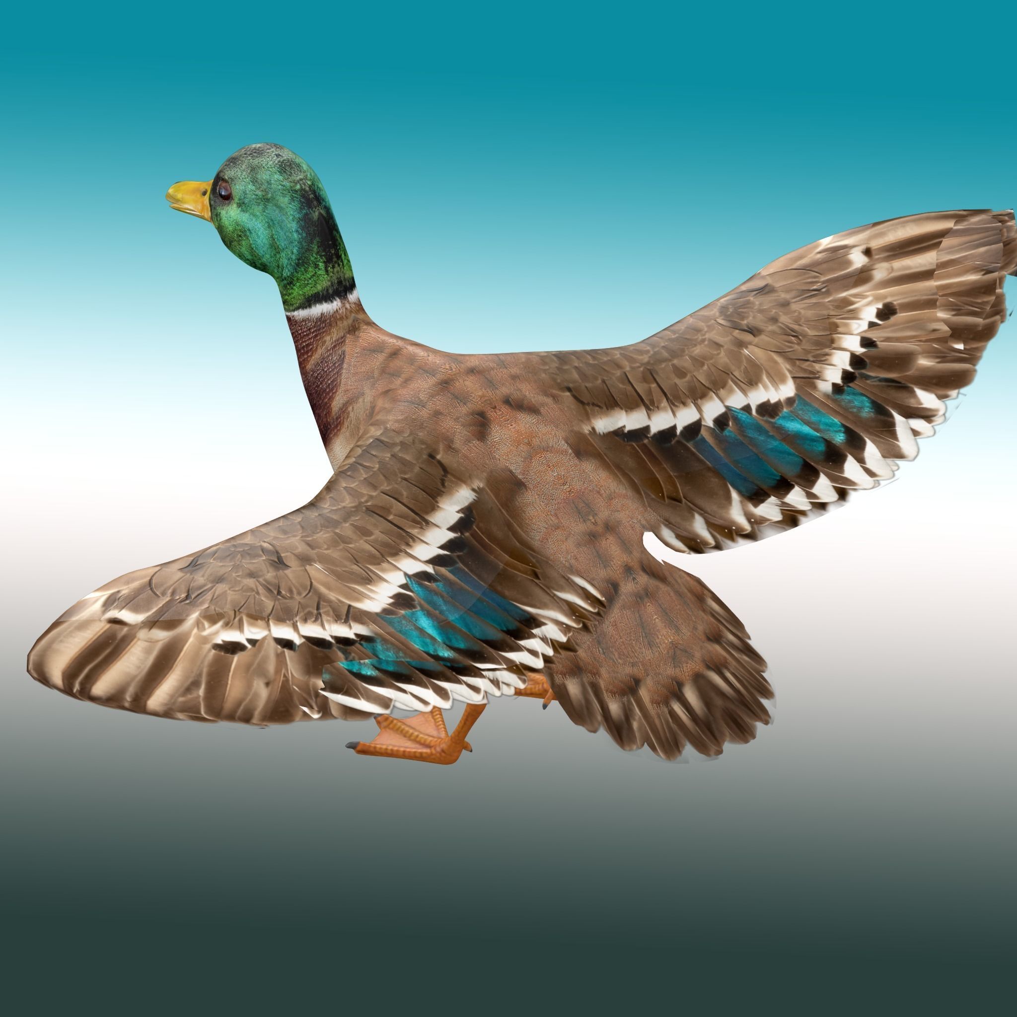 3D model Duck Rig VR / AR / low-poly | CGTrader