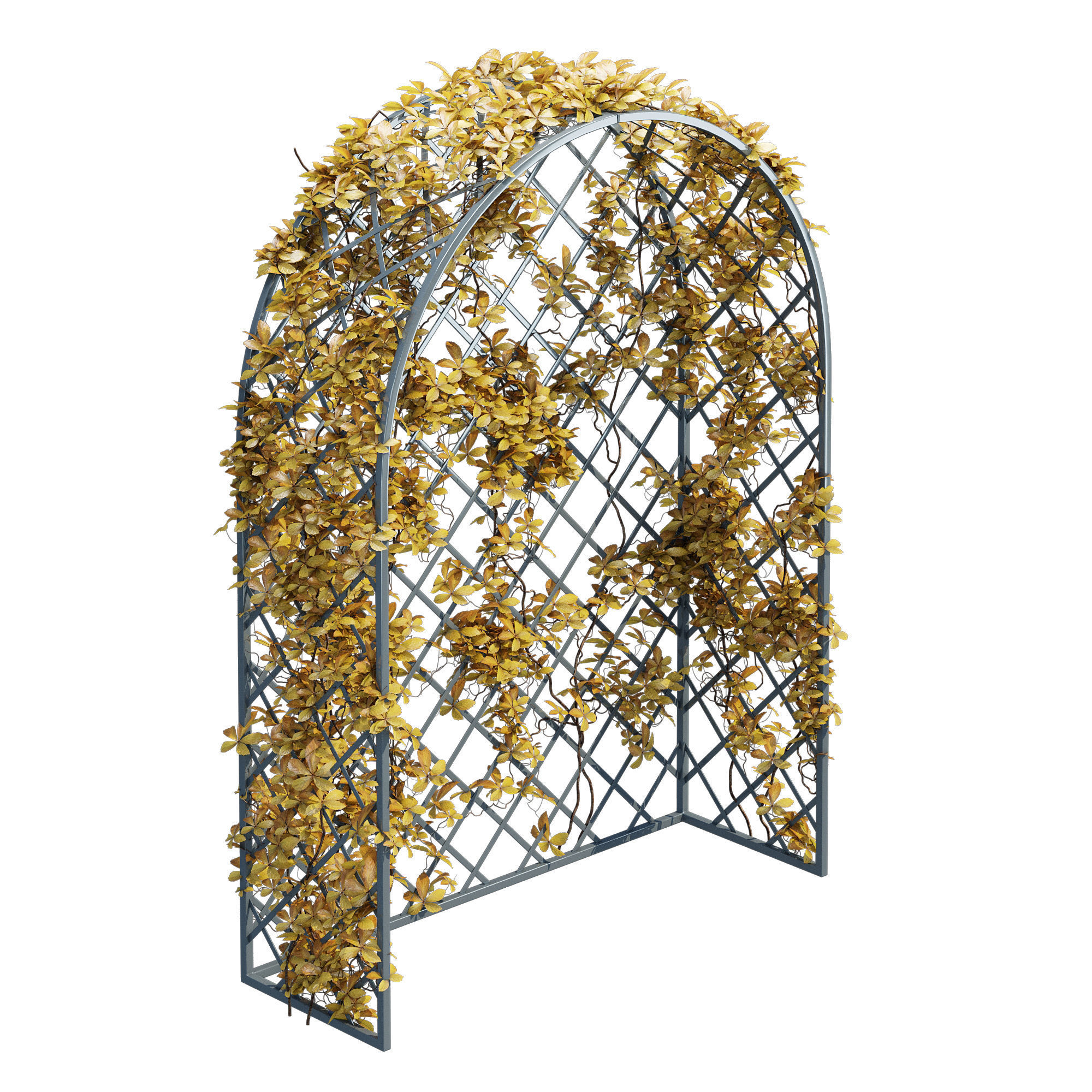 Villandry ivy arbour 3D model | CGTrader