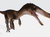 Austroraptor dinosaur 3D model | CGTrader