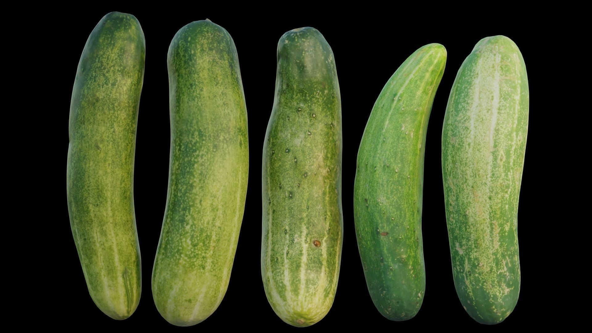 Cucumber 05 3D model | CGTrader