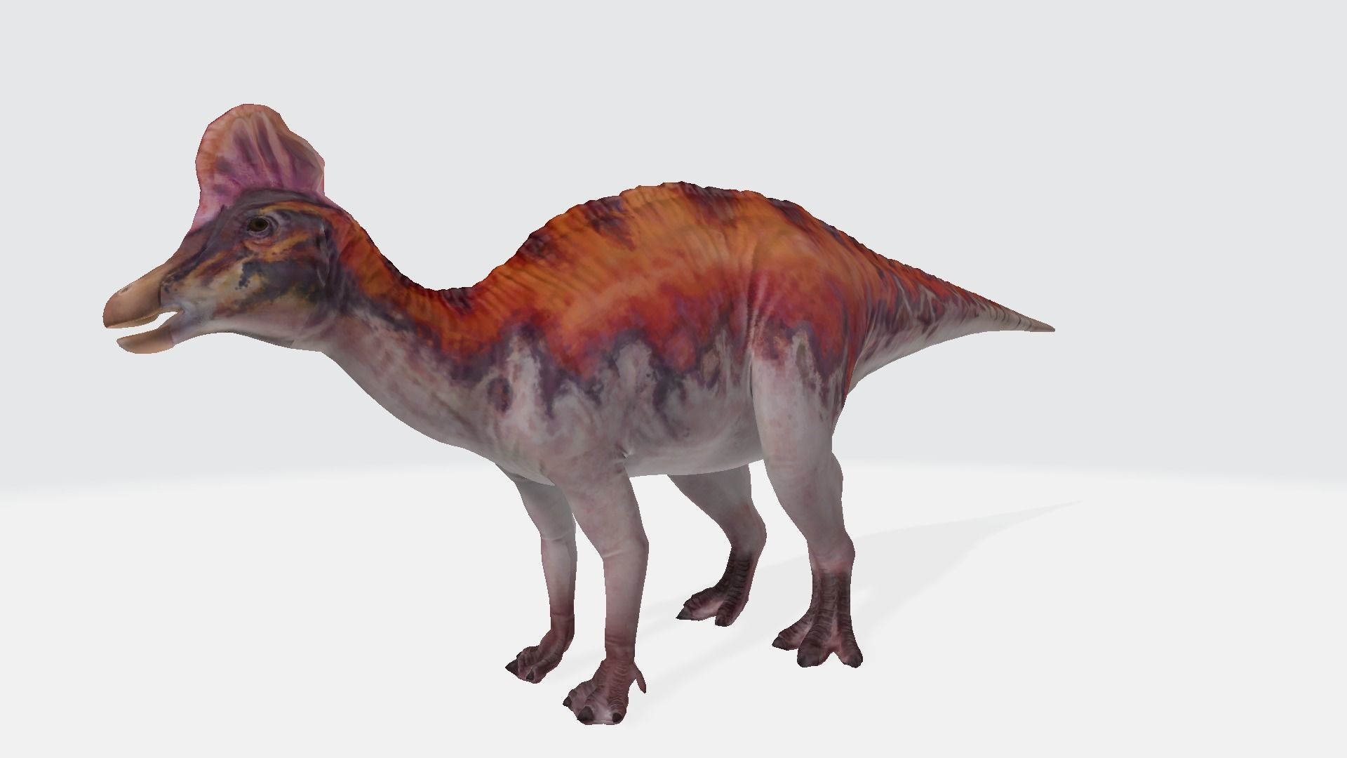 Amurosaurus dinosaur 3D model | CGTrader