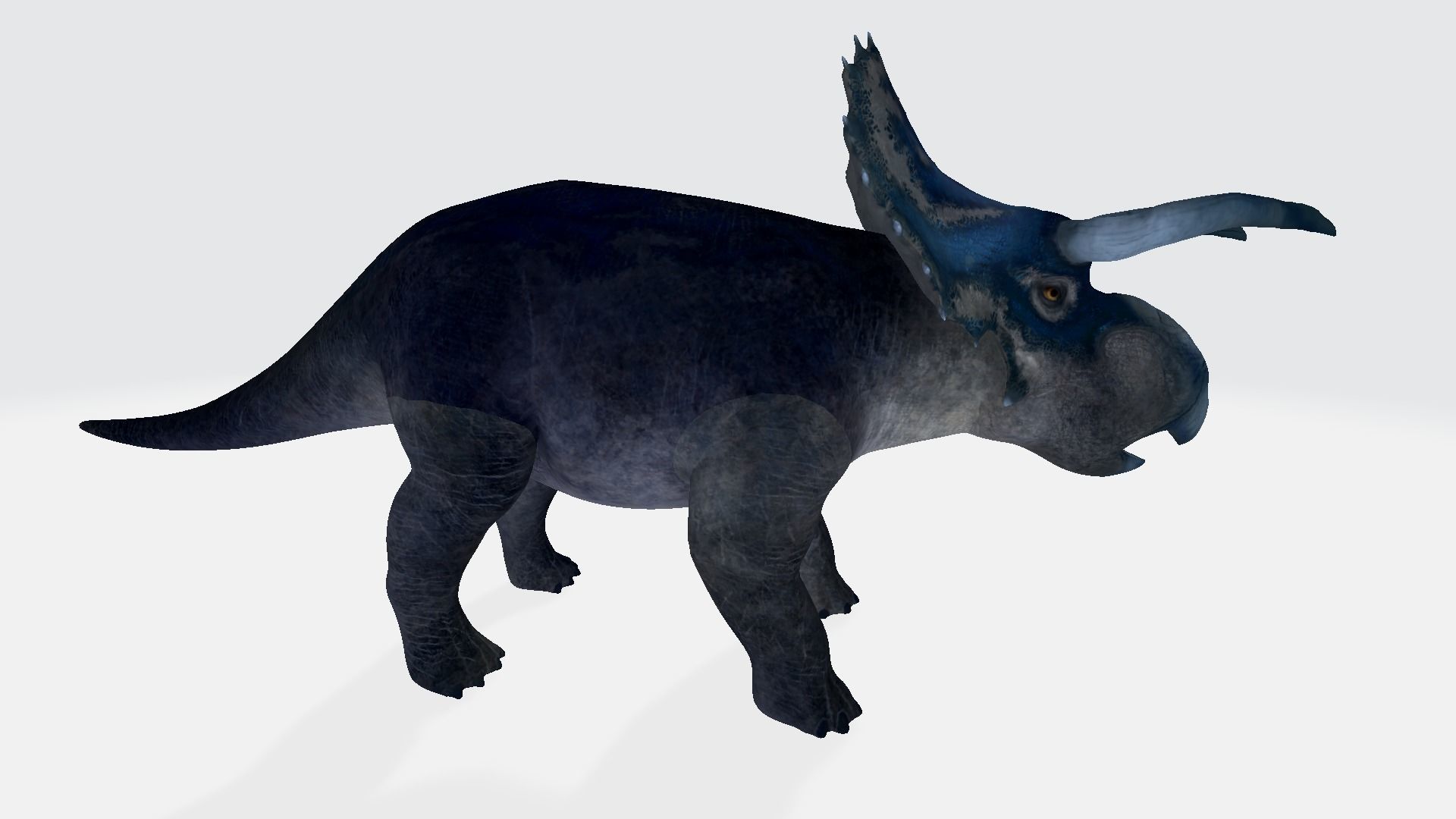 Avaceratops triceratops dinosaur 3D model | CGTrader