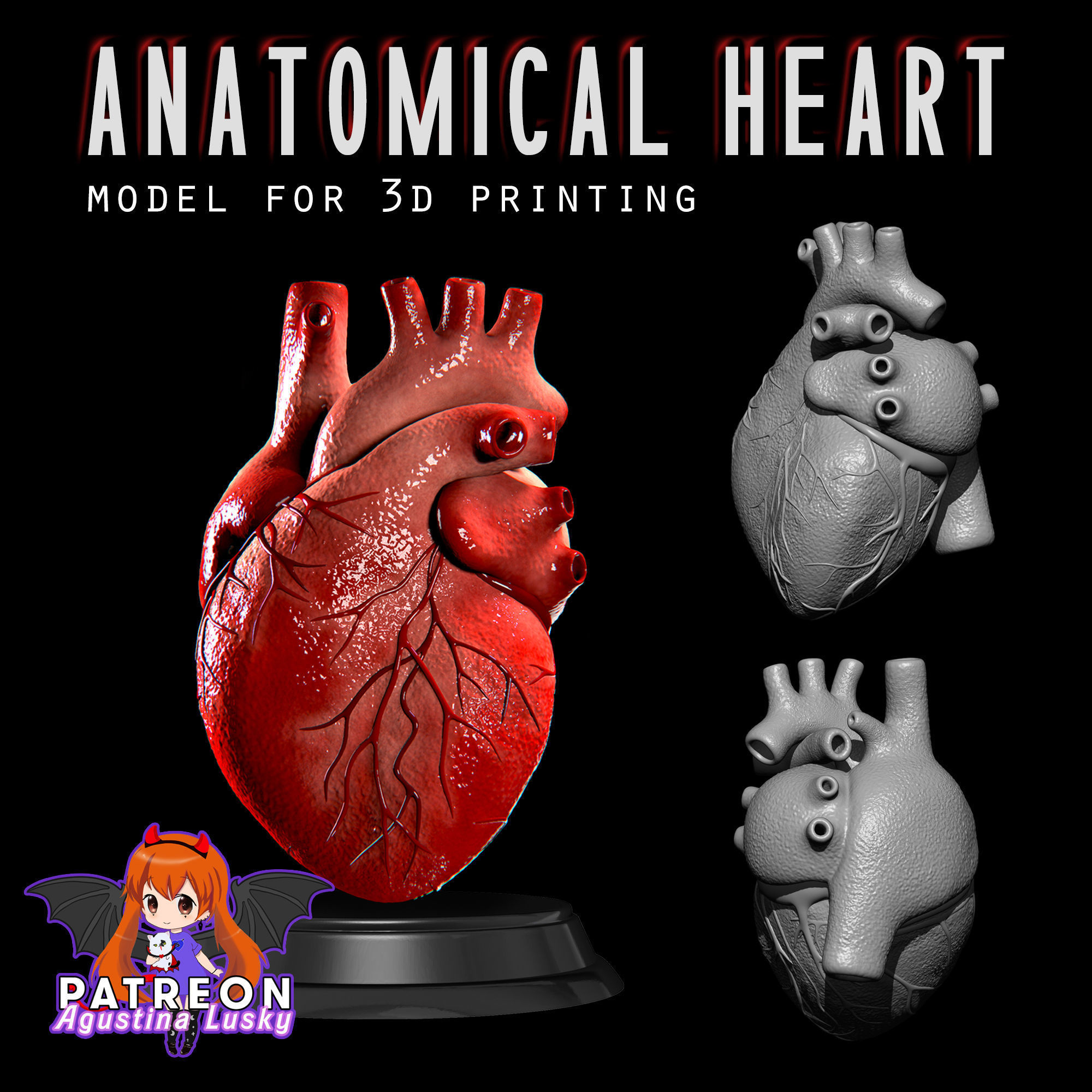 Anatomical Human Heart 3d Model 3d Printable Cgtrader