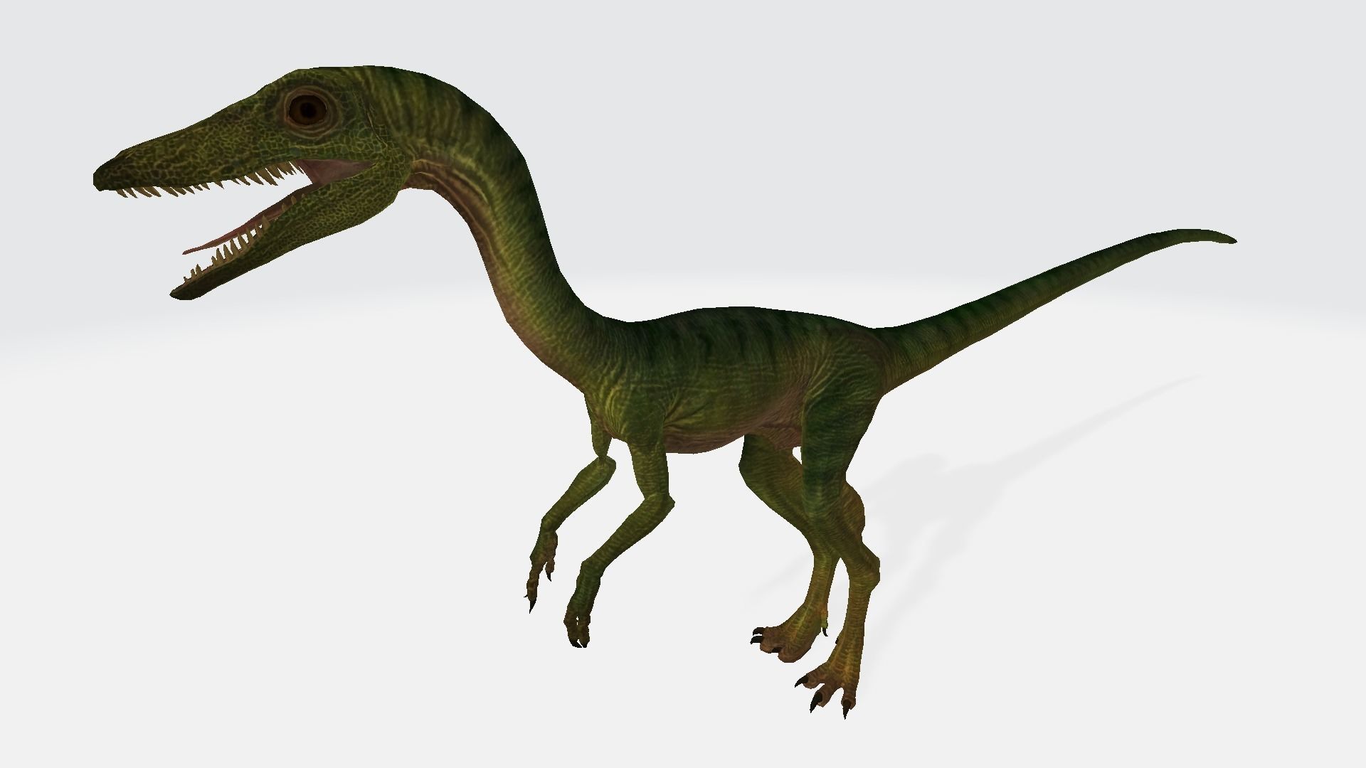 Compsognathus dinosaur 3D model | CGTrader
