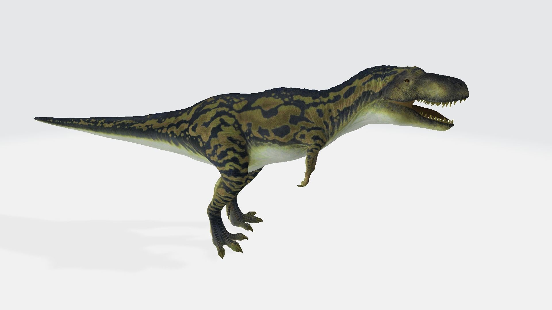 Daspletosaurus t - rex dinosaur 3D model | CGTrader