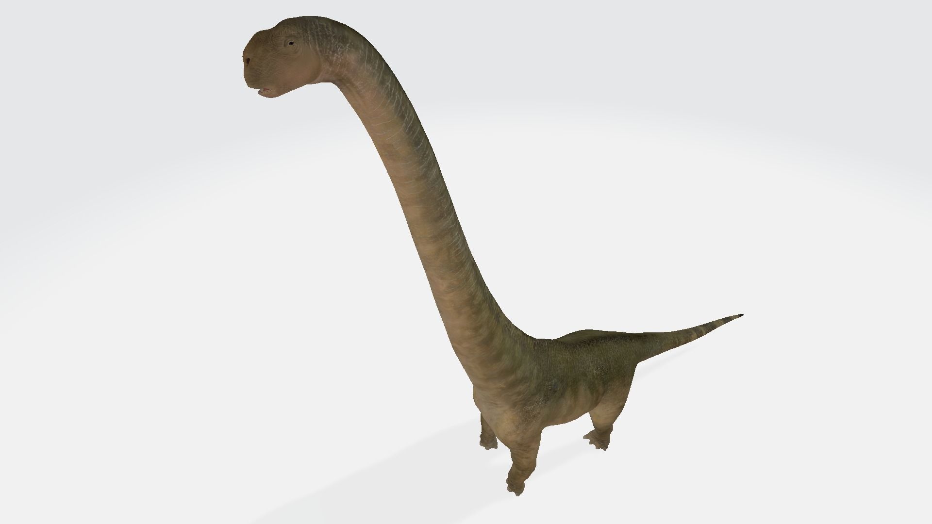 Dreadnoughtus dinosaur 3D model | CGTrader