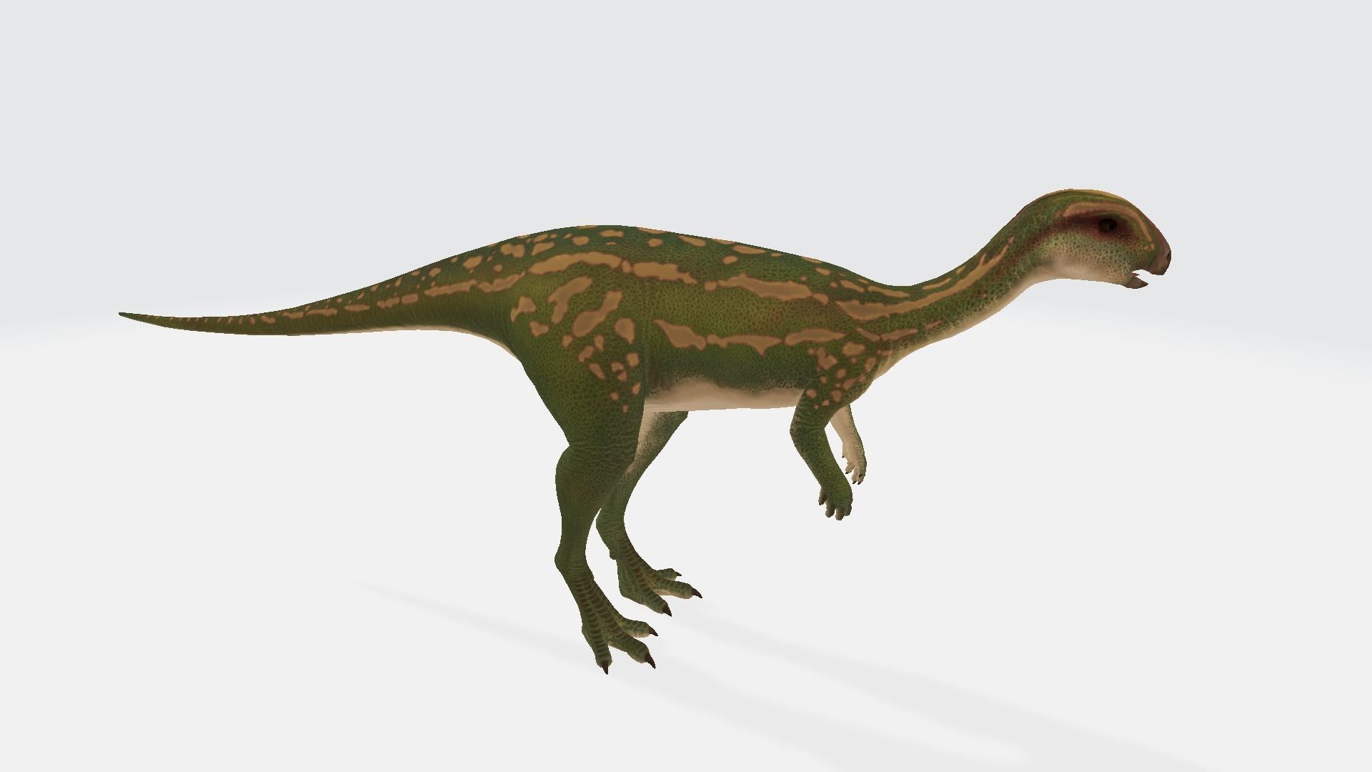Dryosaurus dinosaur 3D model | CGTrader