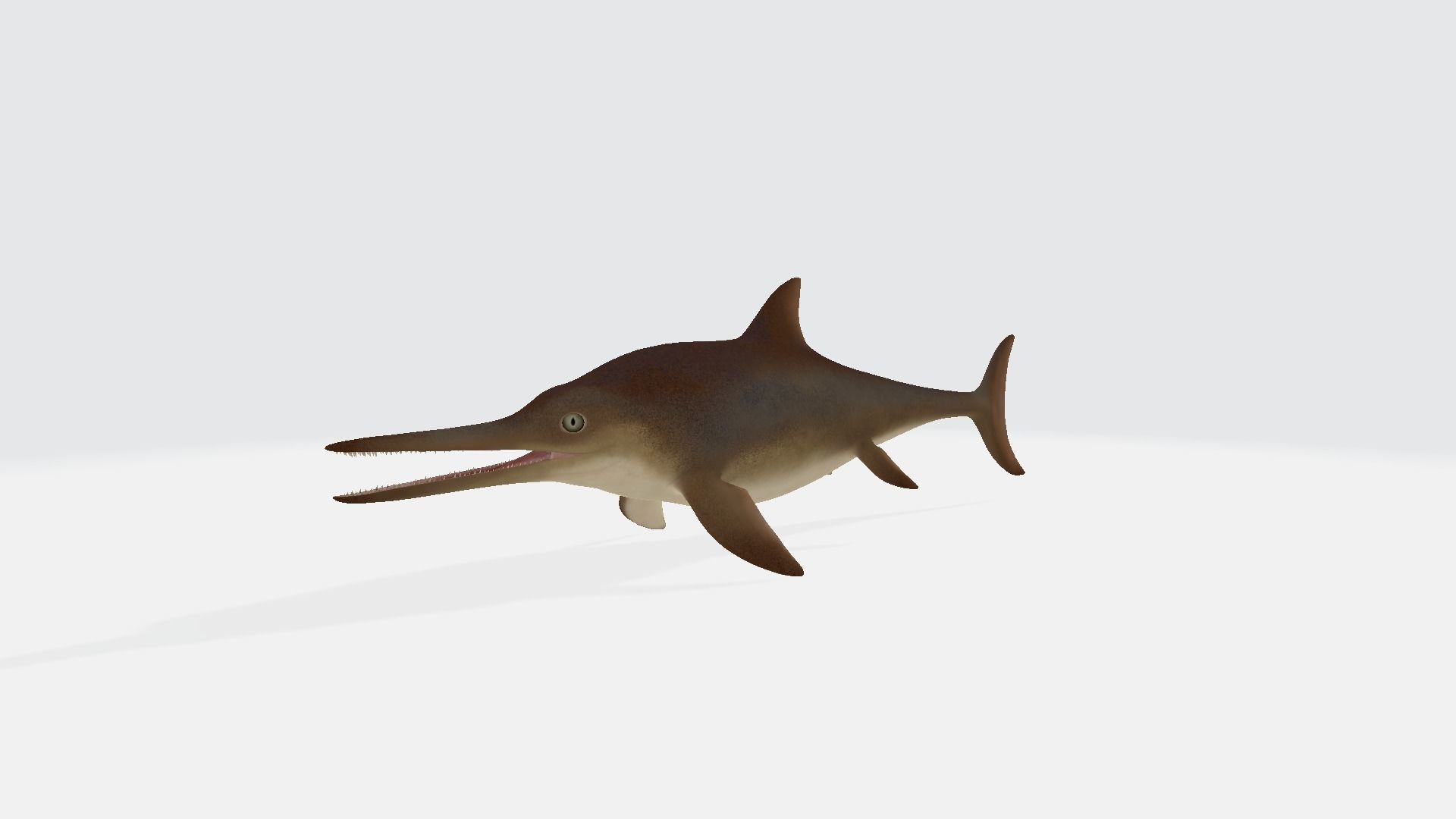 Ichthyosaurus dolphin 3D model | CGTrader
