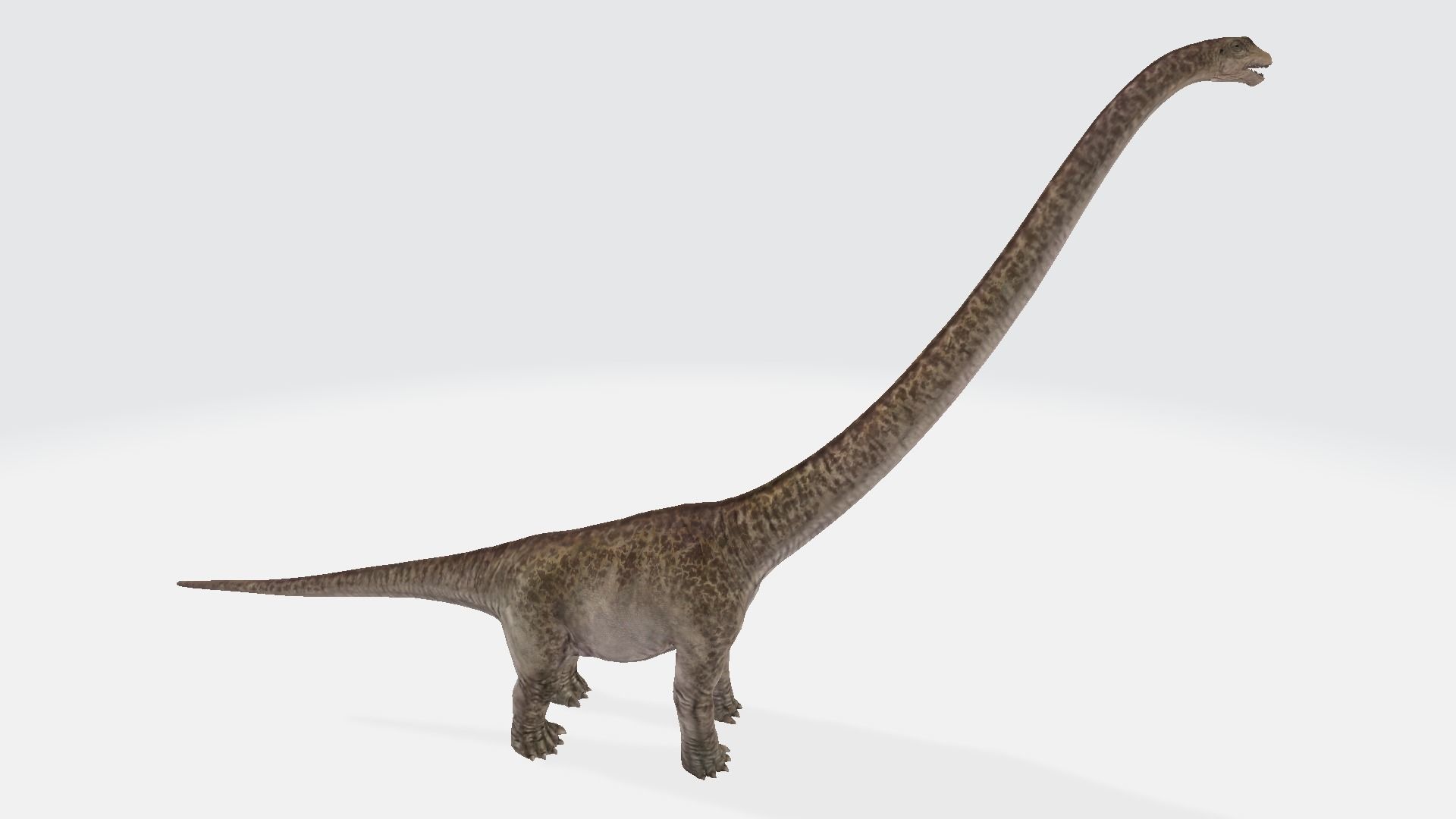 Mamenchisaurus sauropod dinosaur 3D model | CGTrader