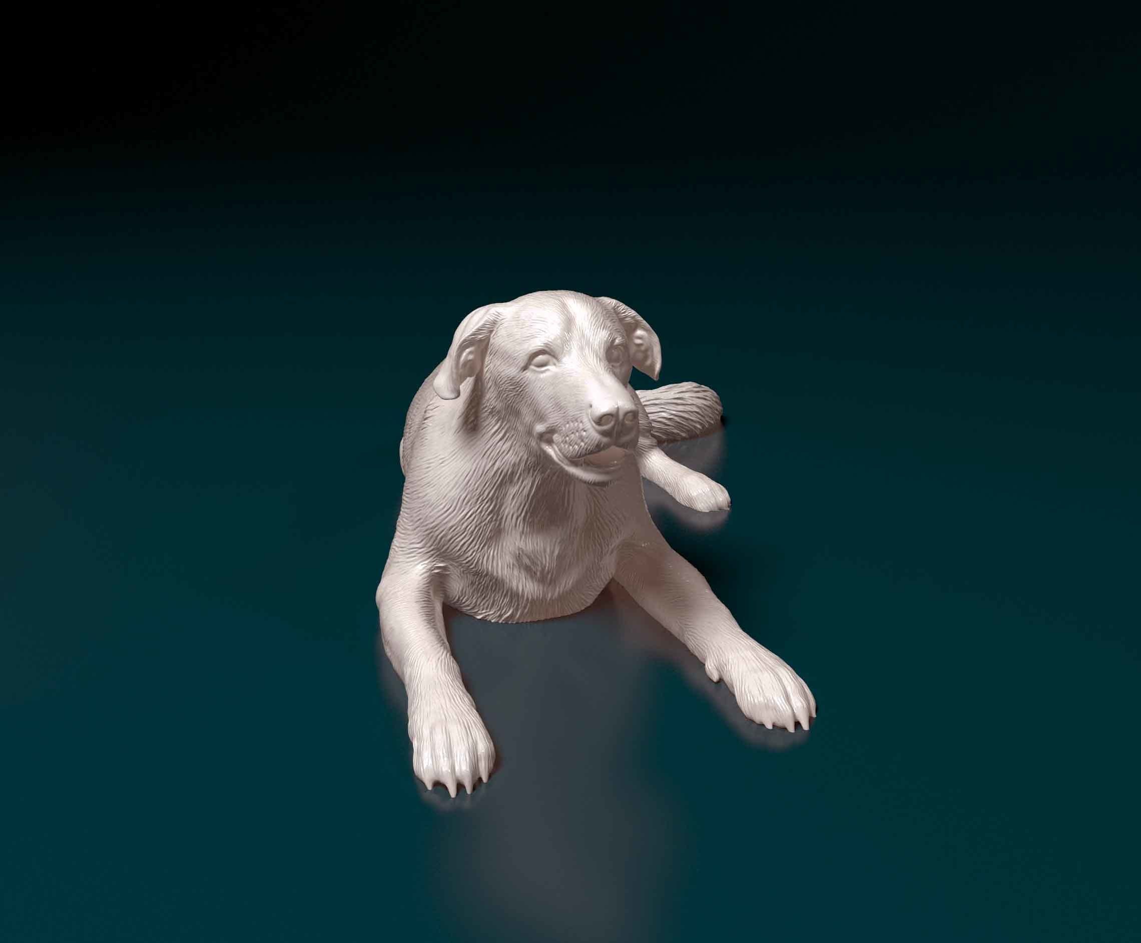 Labrador 3D model 3D printable | CGTrader