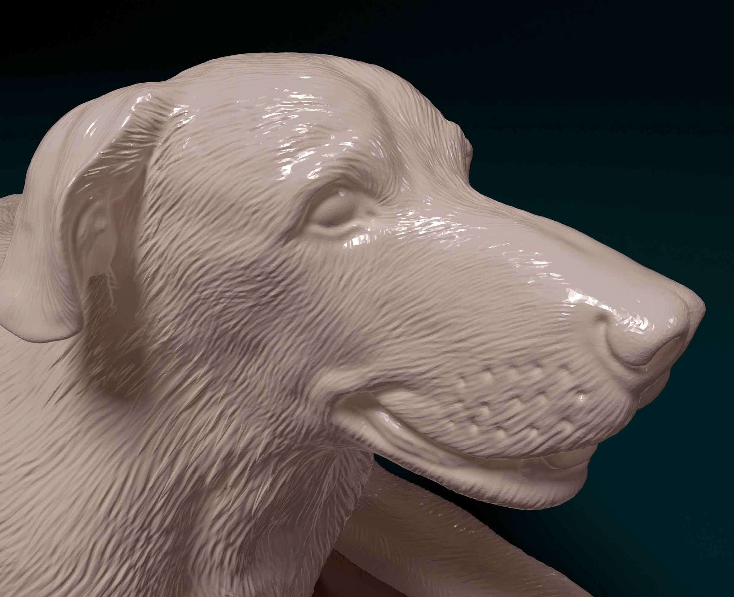 Labrador 3D model 3D printable | CGTrader