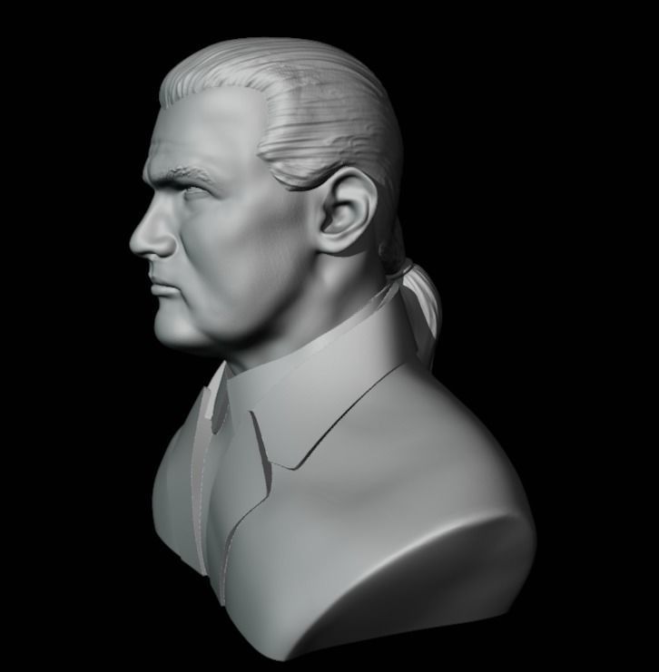 Steven Seagal Half Torso 3D model 3D printable | CGTrader