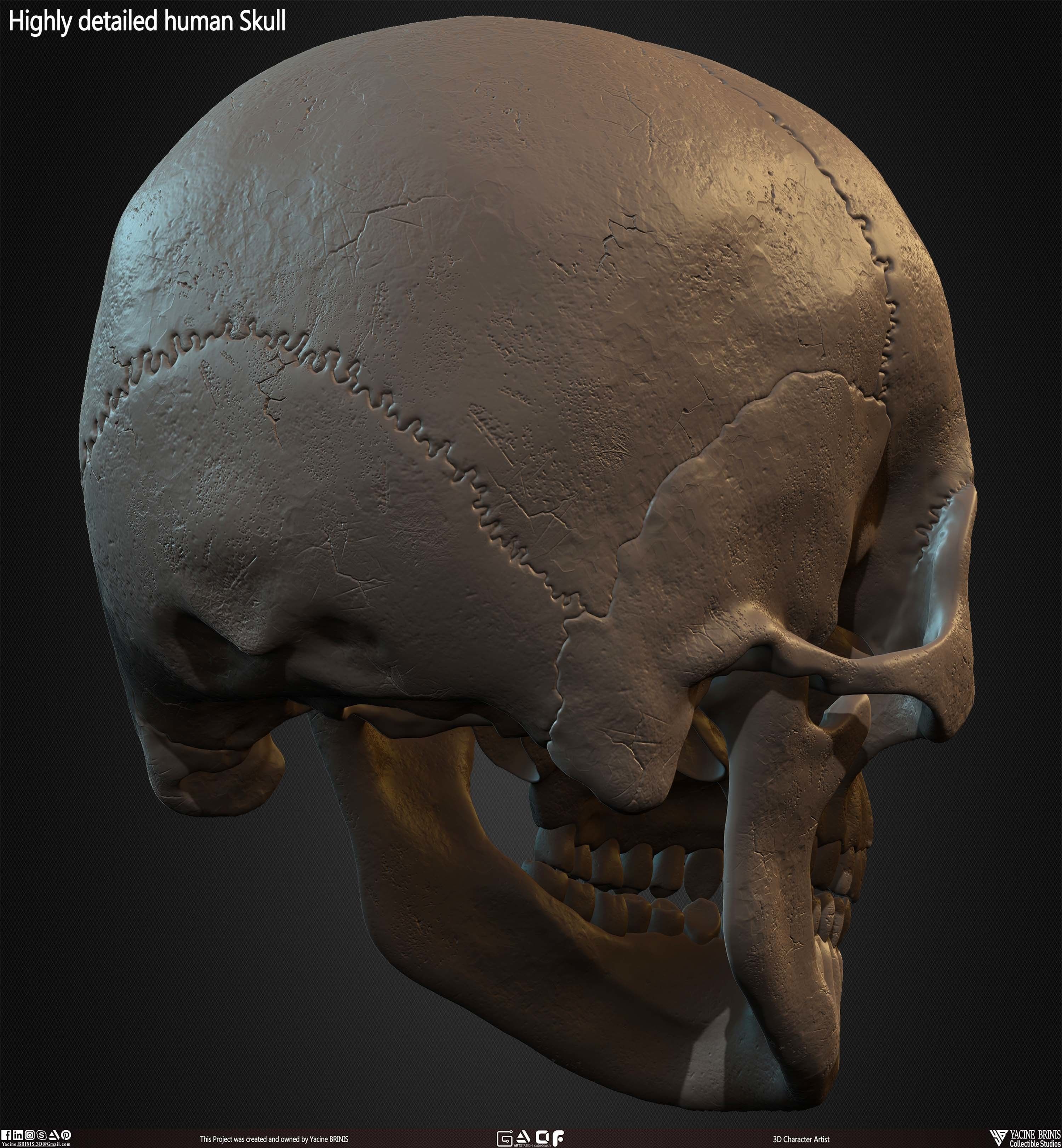3D model Highly Detailed Human Skull VR / AR / low-poly | CGTrader