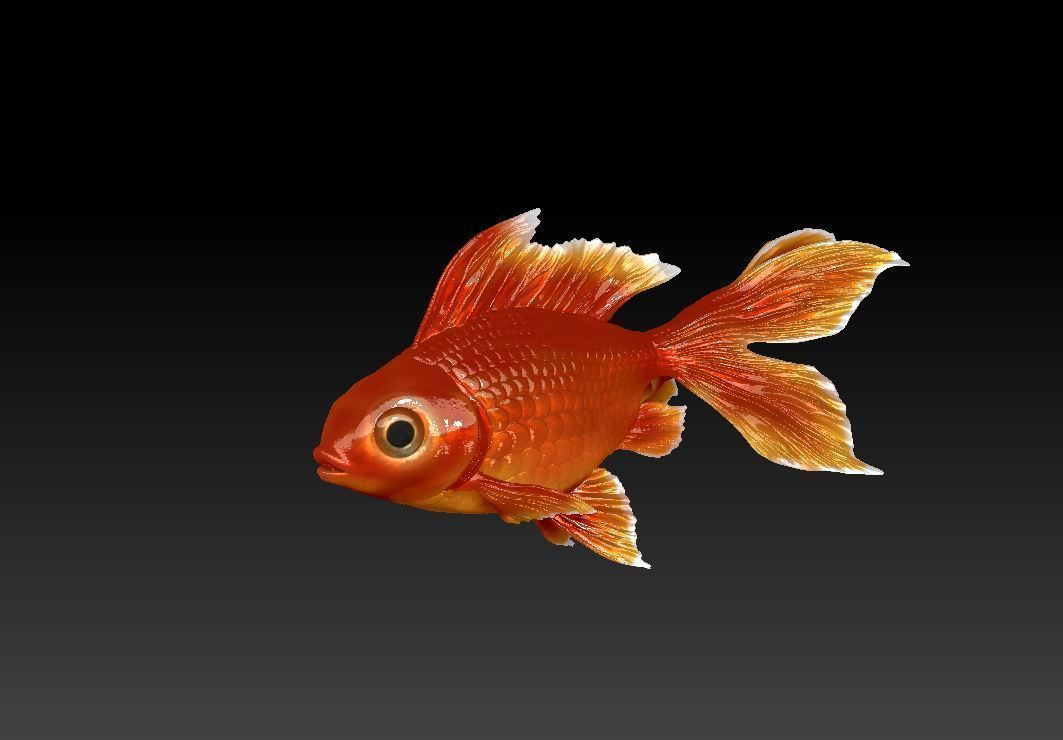 goldfish 3D model 3D printable | CGTrader