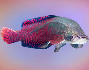 Arapaima 3D Models | CGTrader