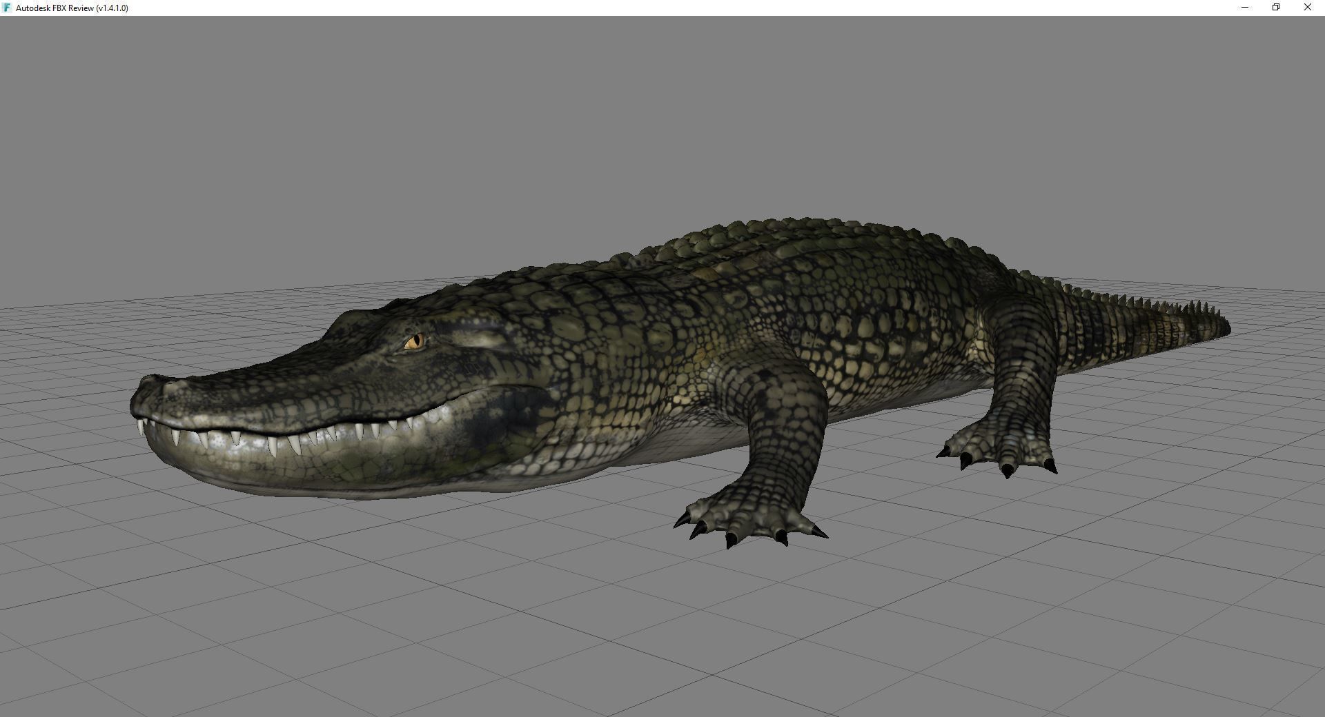 Alligator 3D model | CGTrader