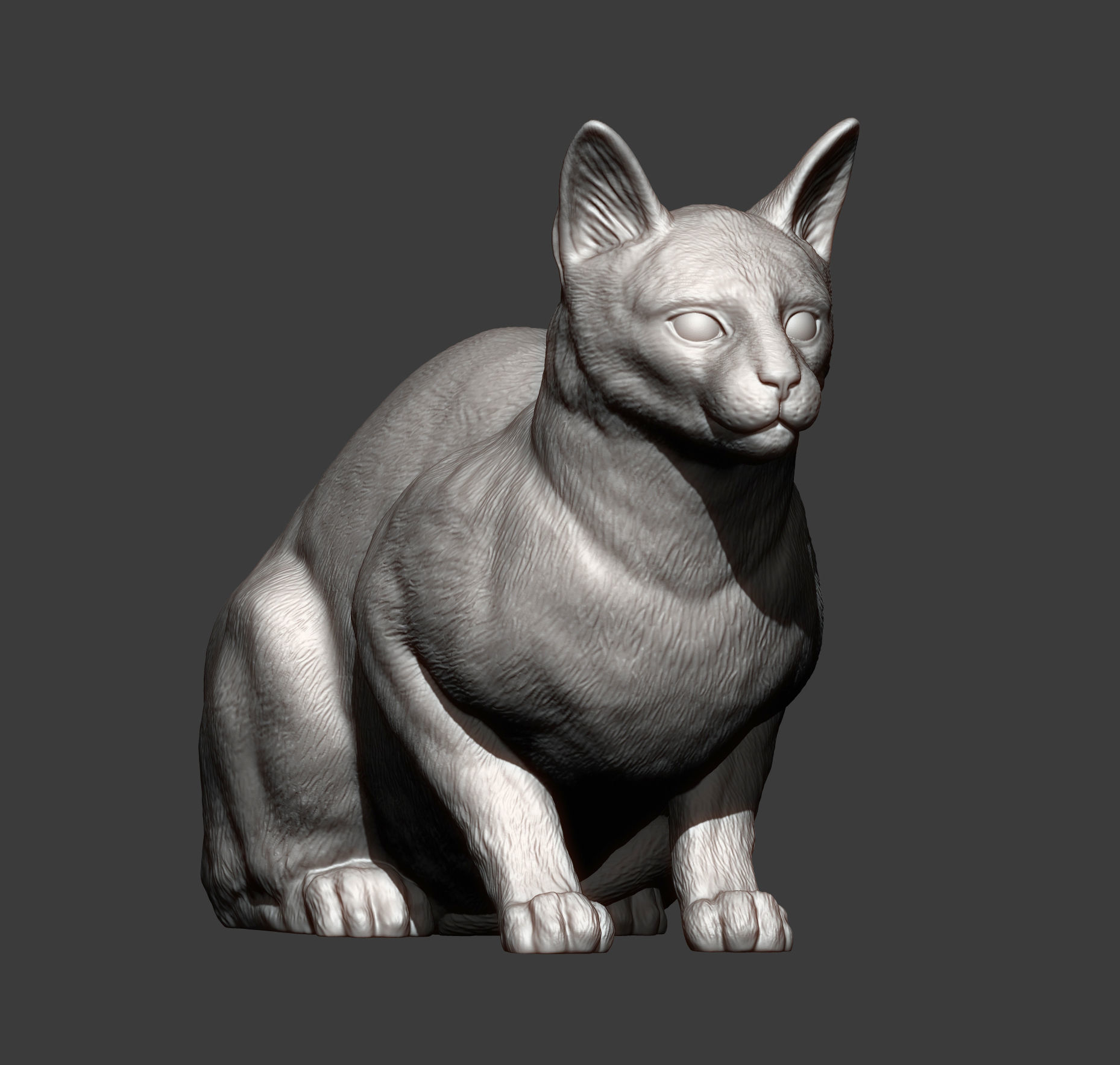 Siamese cat 3D model 3D printable | CGTrader