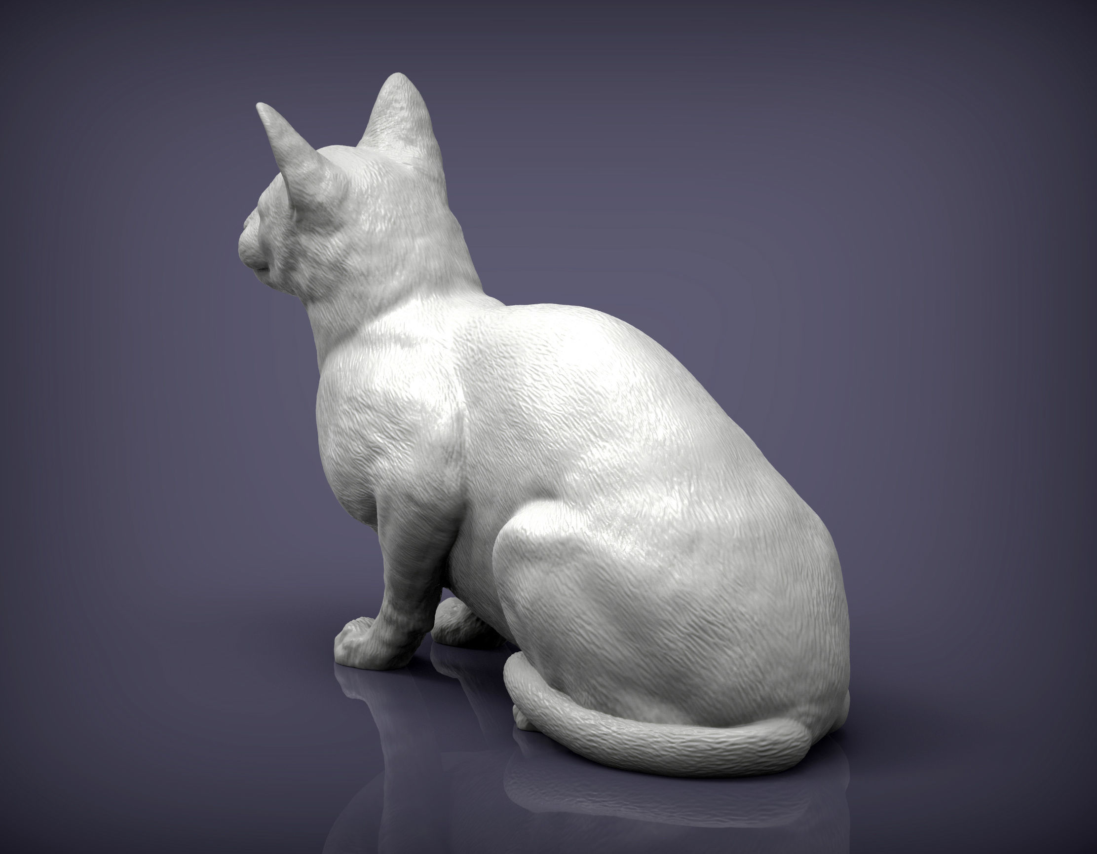 Siamese cat 3D model 3D printable | CGTrader