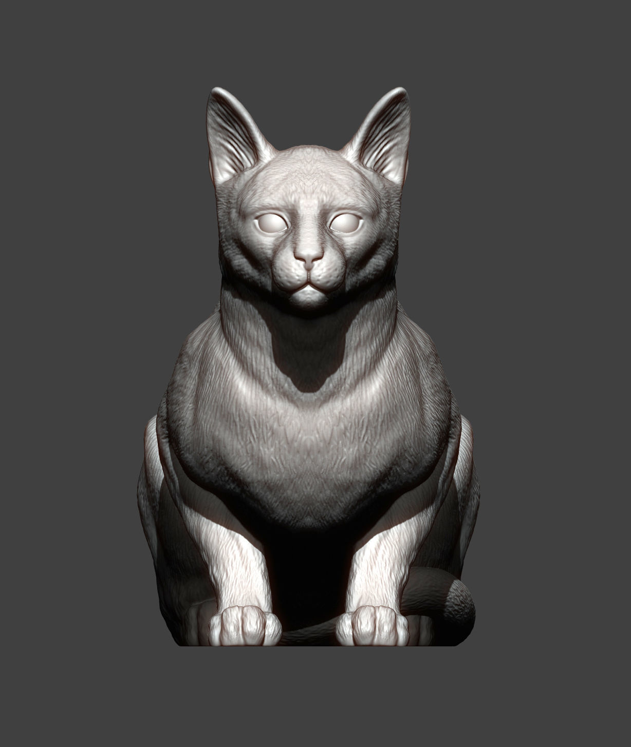 Siamese cat 3D model 3D printable | CGTrader