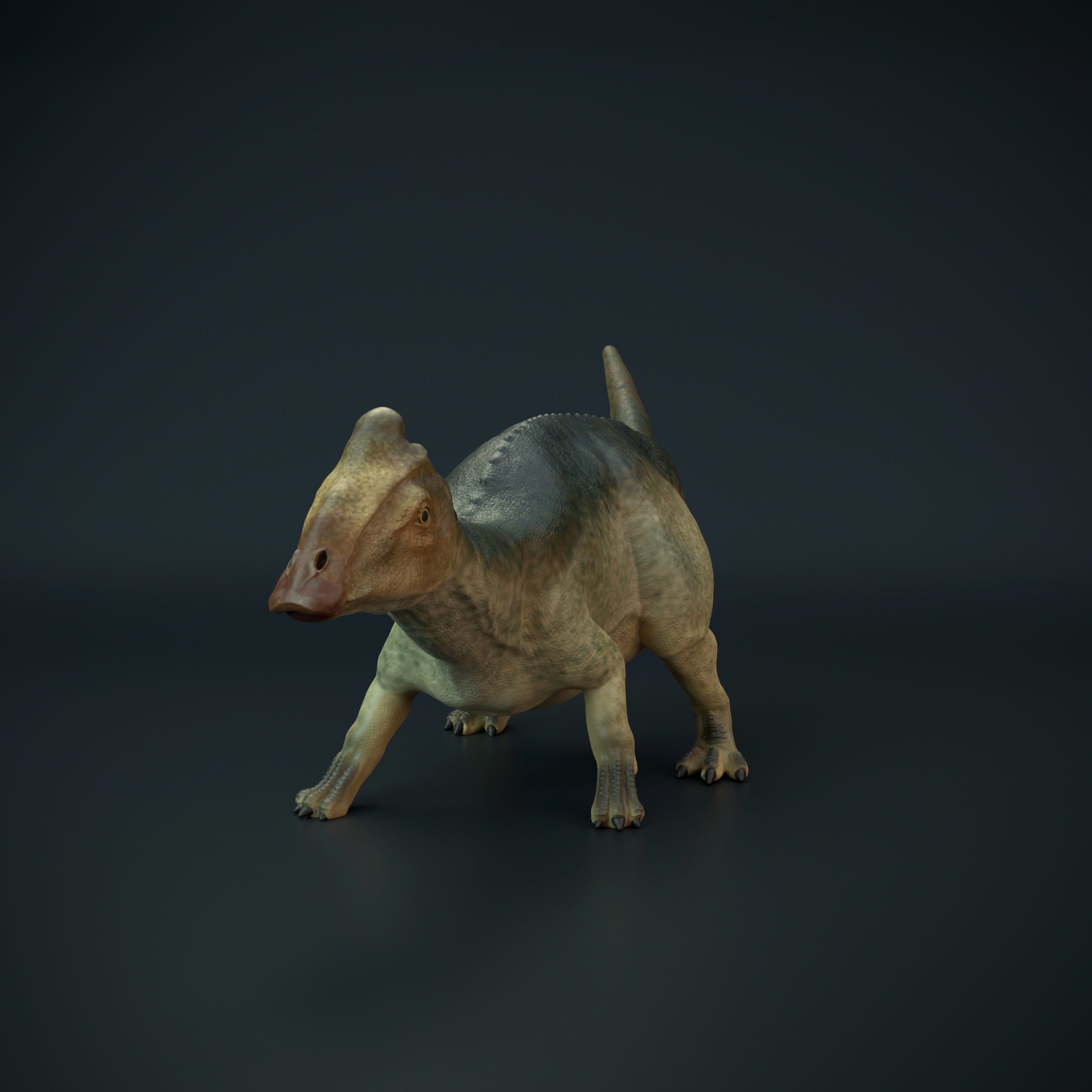Parasaurolophus baby standing 3D model 3D printable | CGTrader