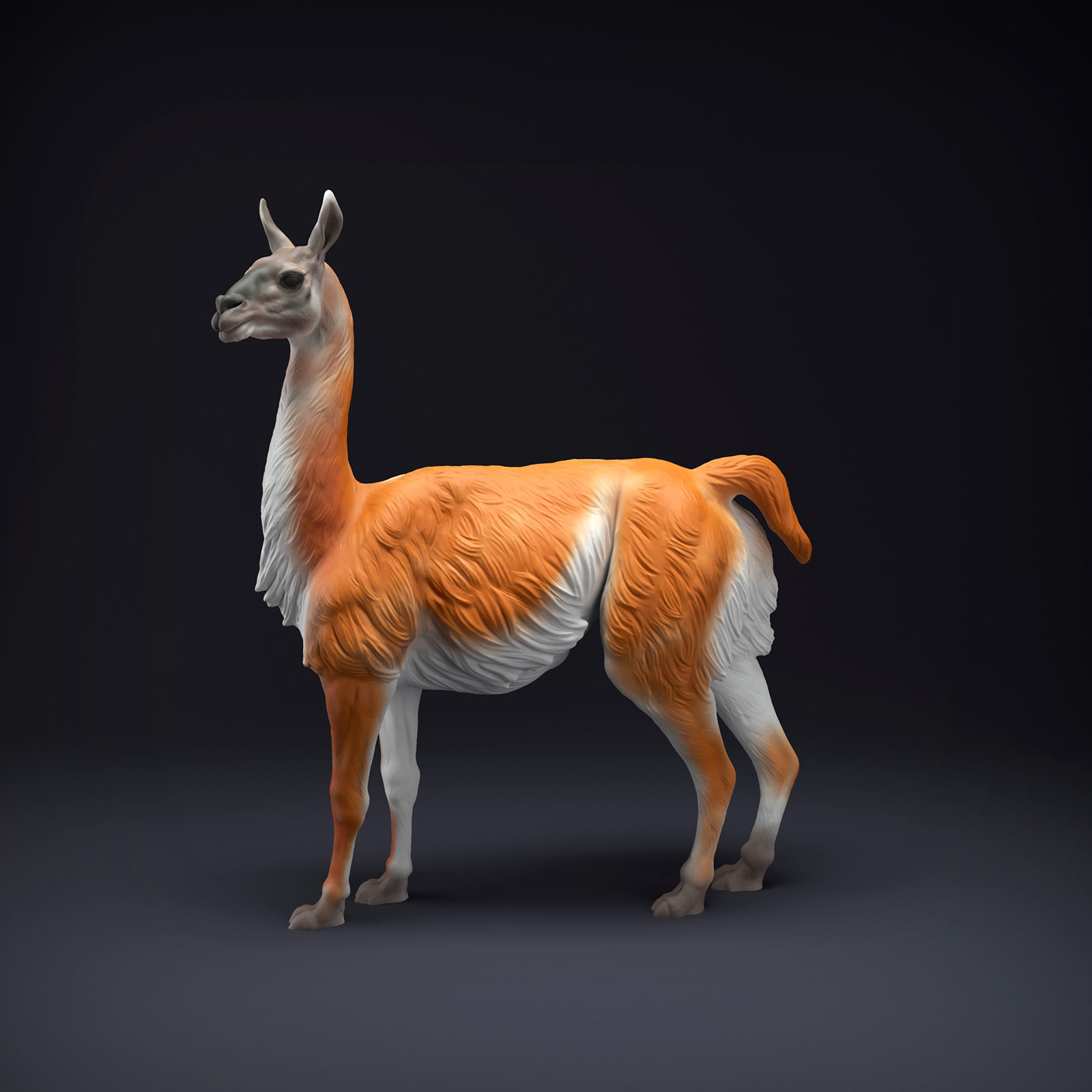Guanaco for 3D Printing 3D model 3D printable | CGTrader