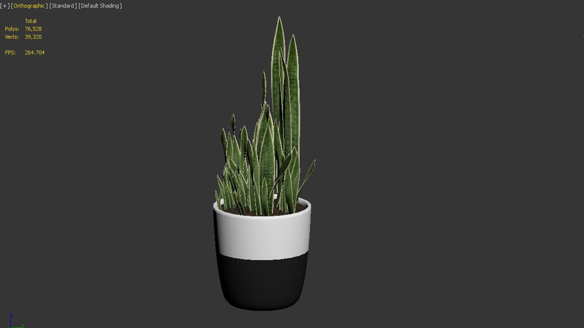 Snake Plant - Sansevieria 1 3D model | CGTrader