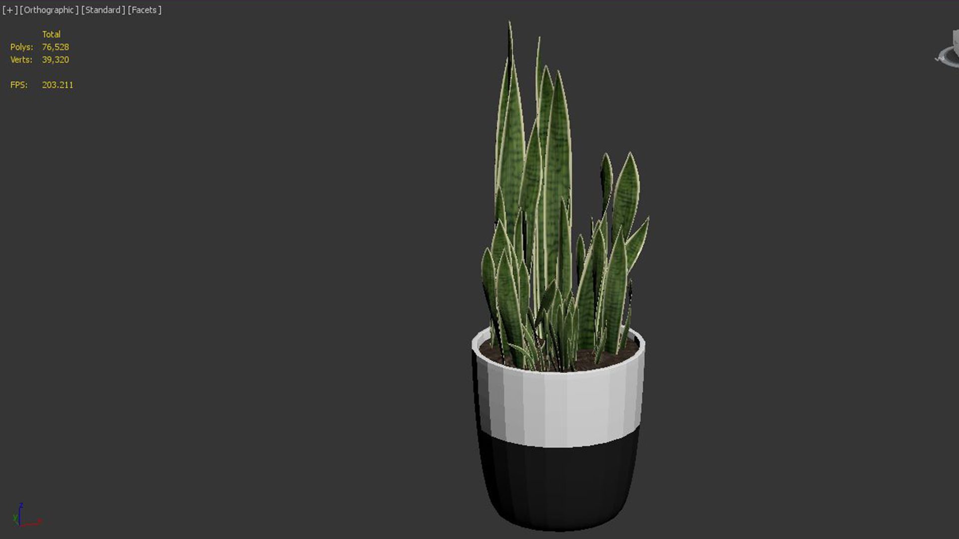 Snake Plant - Sansevieria 1 3D model | CGTrader