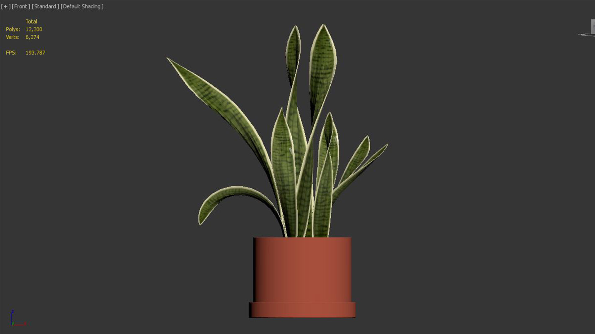 Snake Plant - Sansevieria 2 3D model | CGTrader