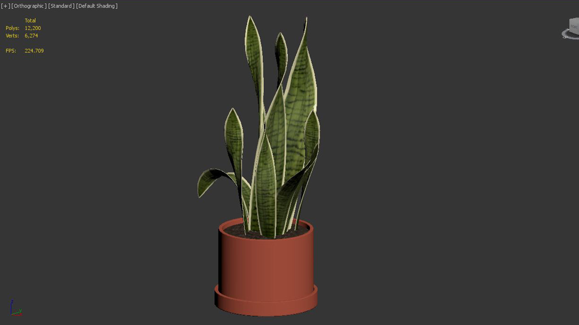 Snake Plant - Sansevieria 2 3D model | CGTrader