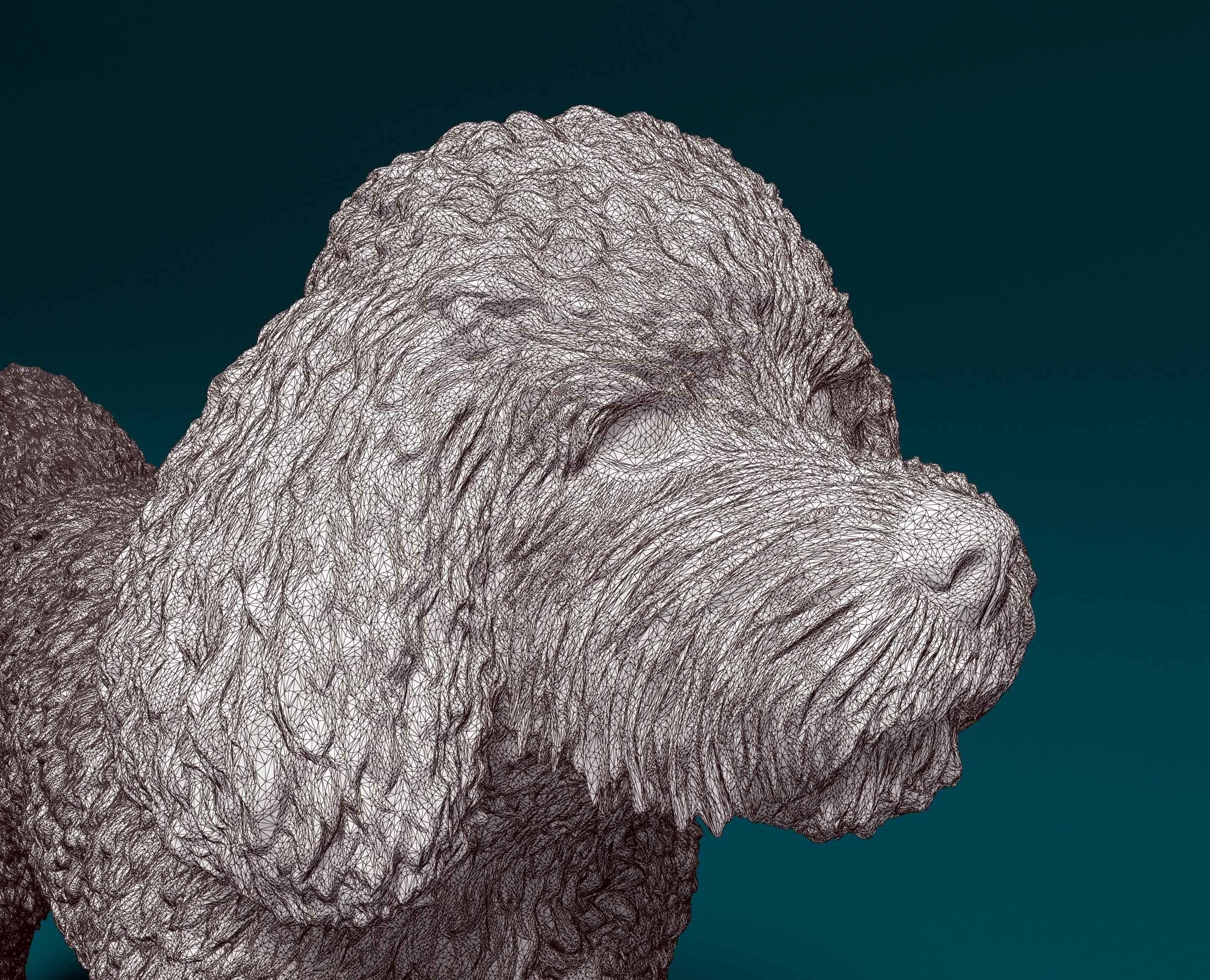CockerPoo poodle figurine 3D model 3D printable | CGTrader