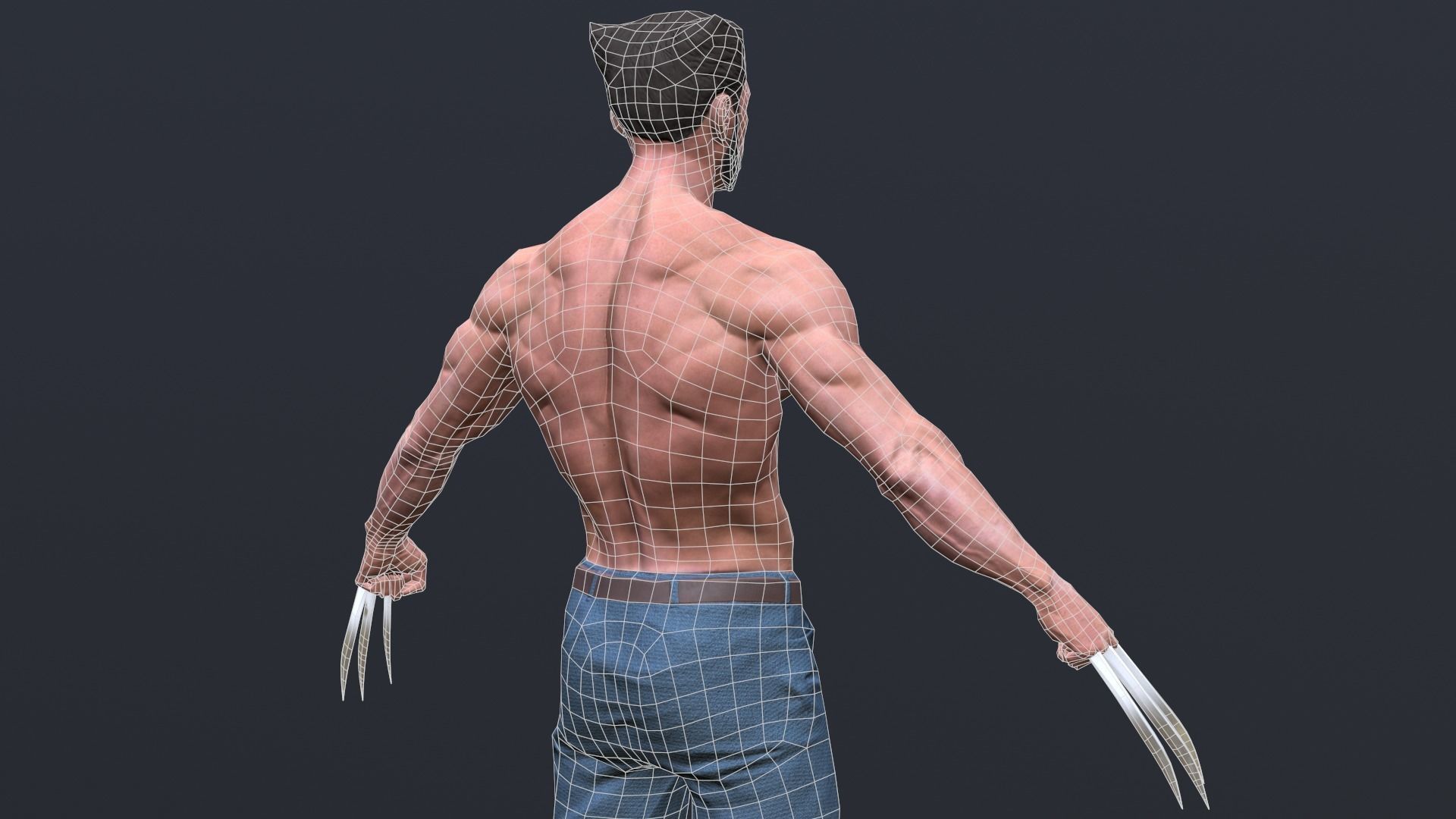 3D model Wolverine VR / AR / low-poly | CGTrader