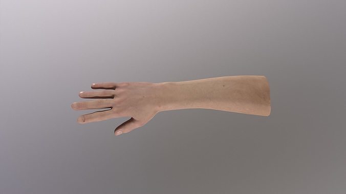 Human Hand 3D model | CGTrader
