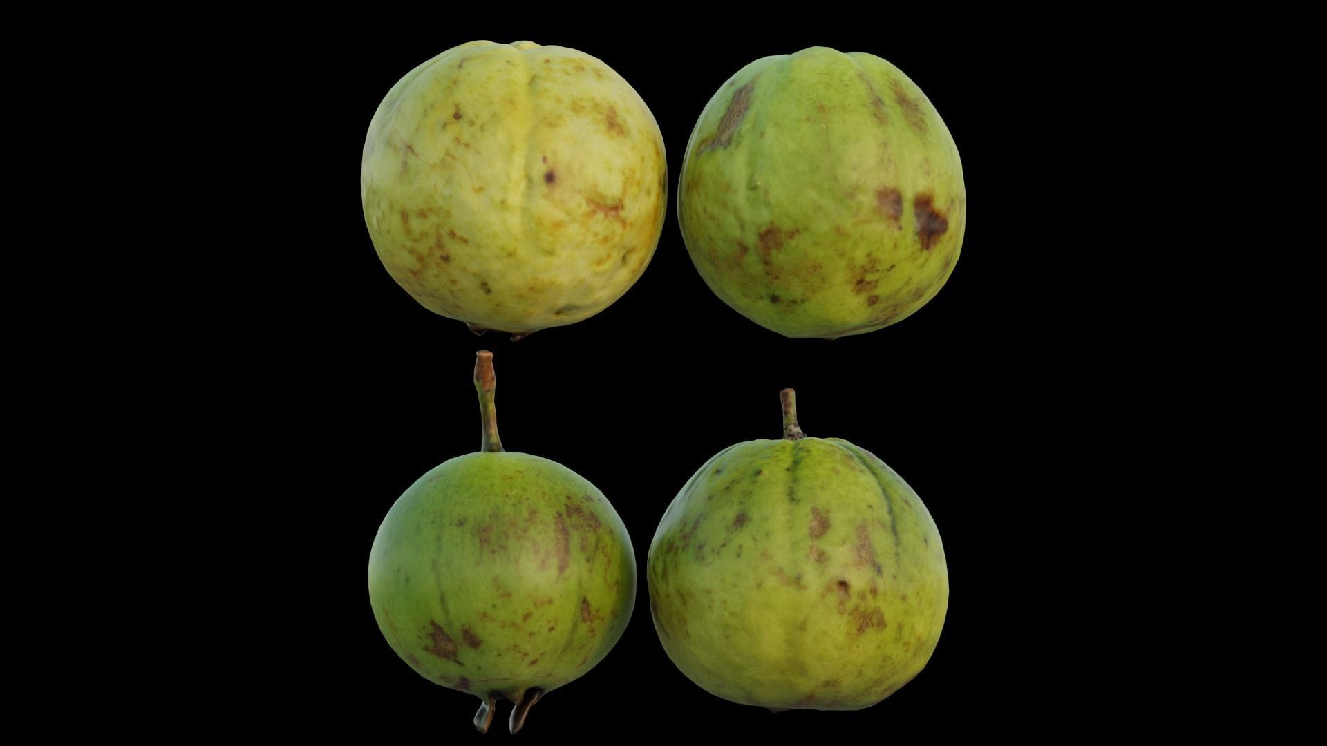 Guava 05 3D model | CGTrader