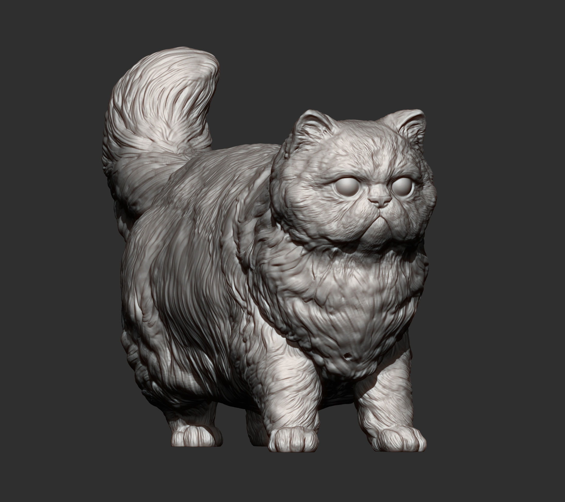 Persian cat 3D model 3D printable | CGTrader