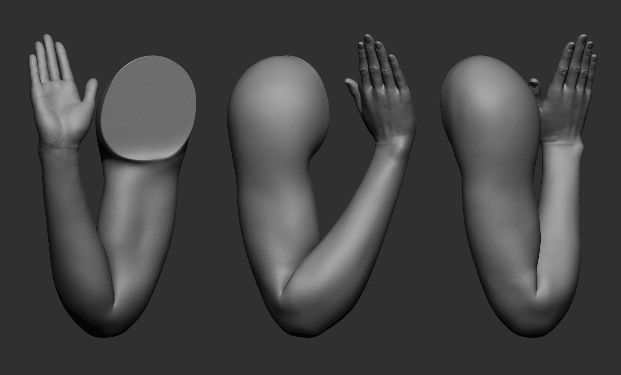 16 female arm poses 3D model | CGTrader