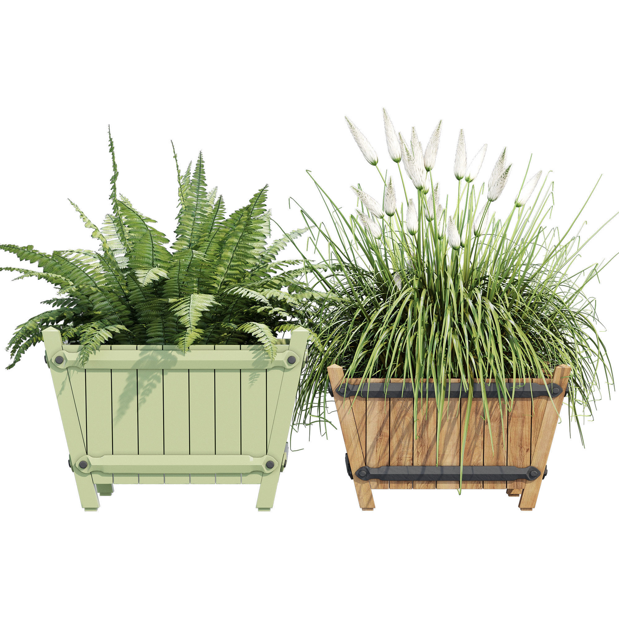 Exeter two planters with ferns and grasses 3D model | CGTrader
