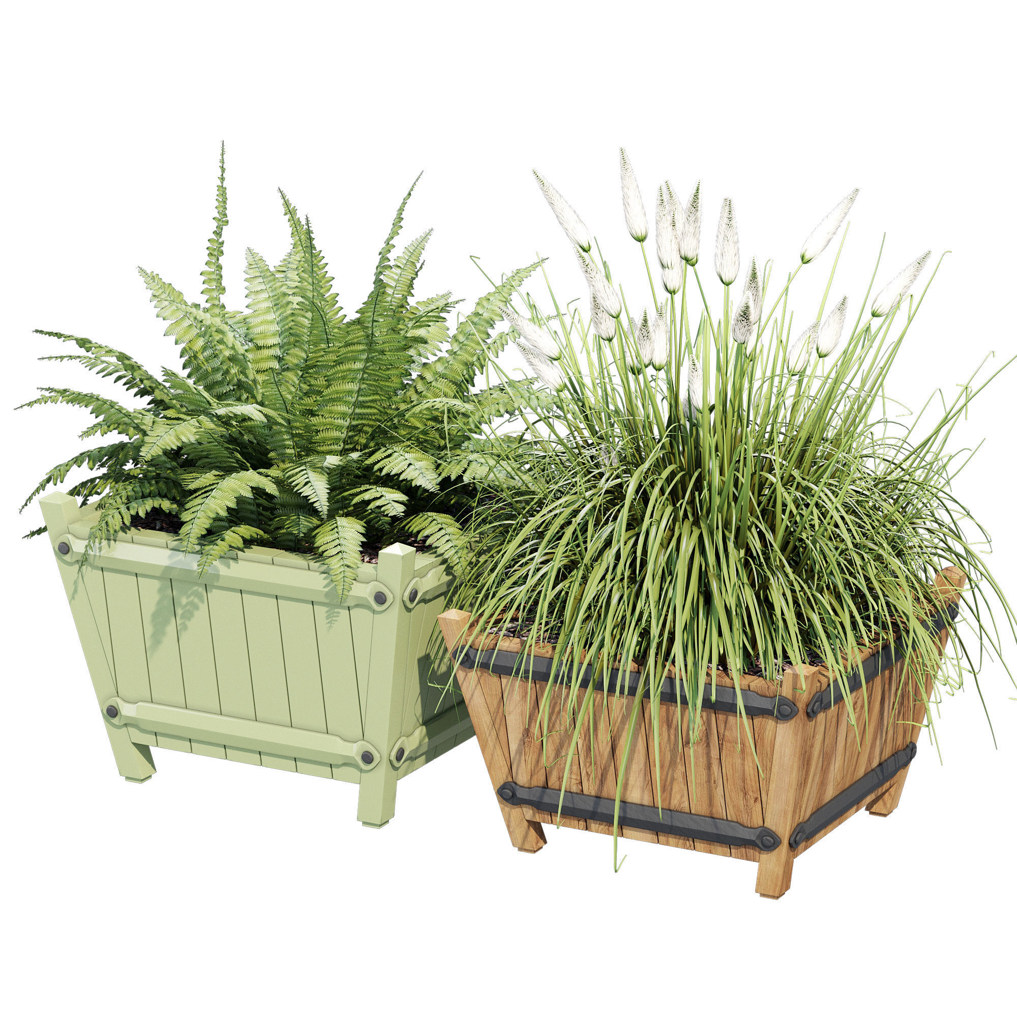 Exeter two planters with ferns and grasses 3D model | CGTrader