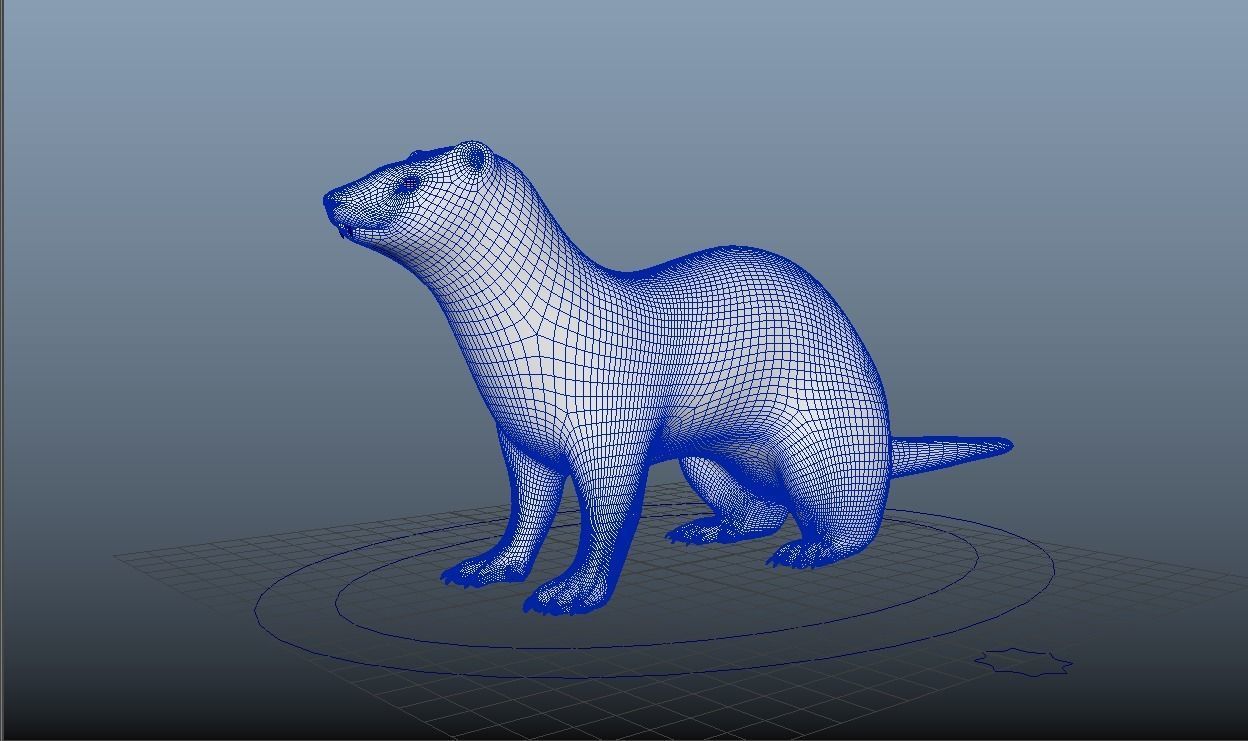 Ferret Rig 3D model rigged | CGTrader