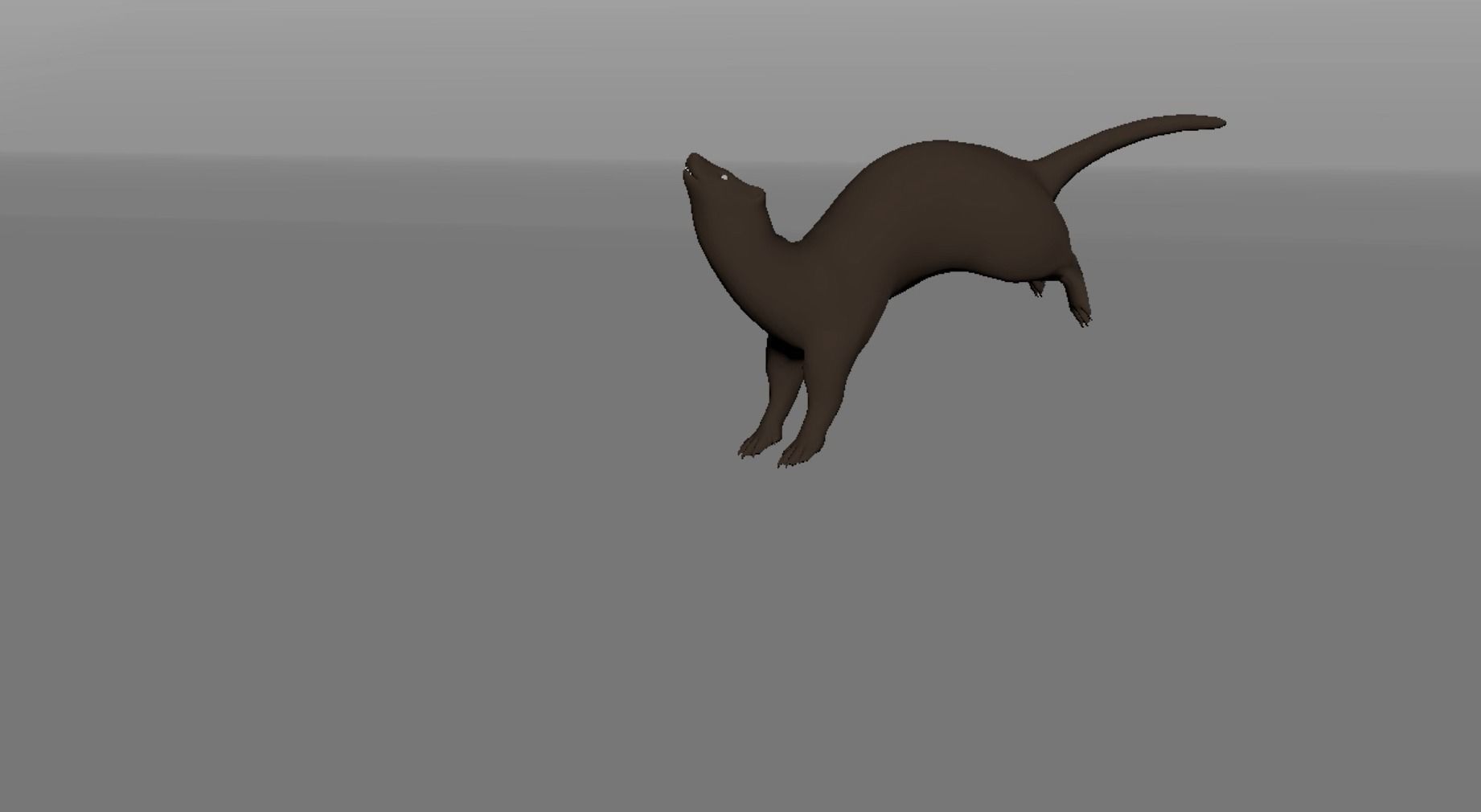 Ferret Rig 3D model rigged | CGTrader