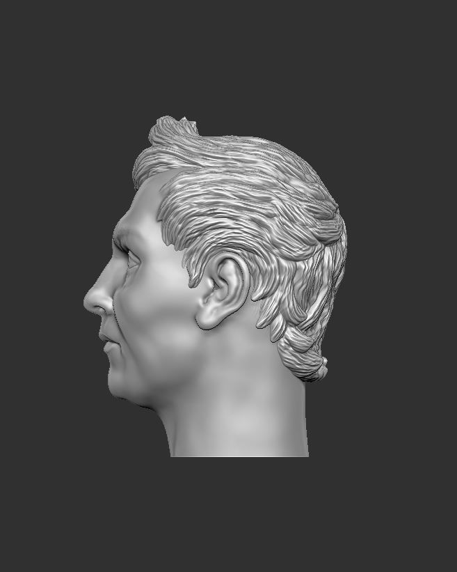 Head 1 bust of julius caesar 3D model 3D printable | CGTrader