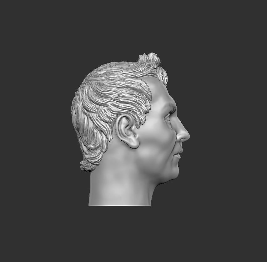 Head 1 bust of julius caesar 3D model 3D printable | CGTrader