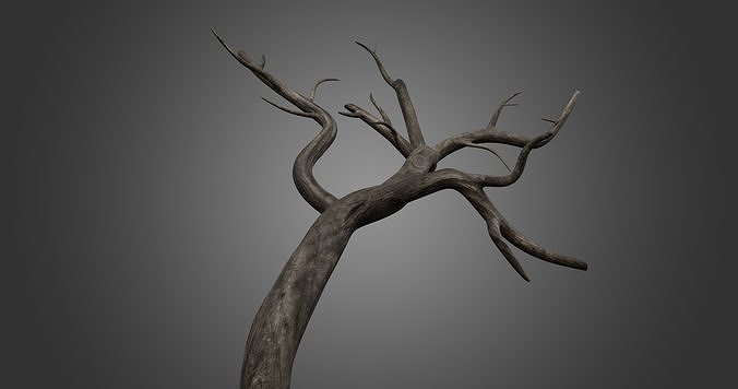 Trees model dead tree 3D model | CGTrader